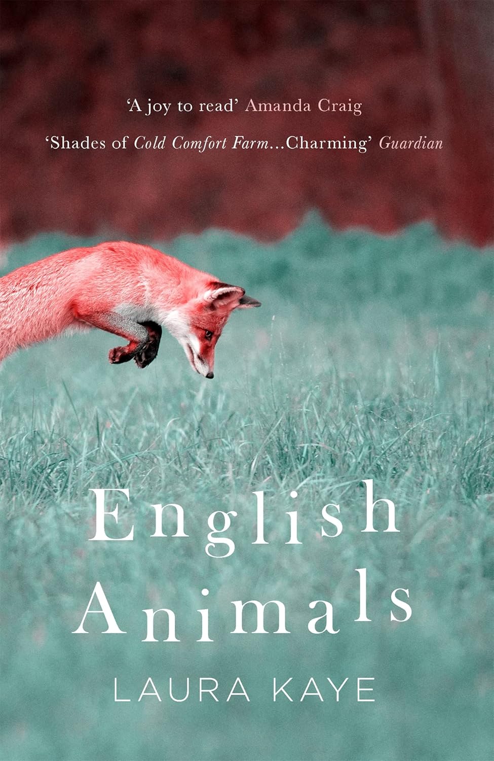 English Animals: Laura Kaye: Amazon.co.uk: Kaye, Laura: 9780349142197 ...