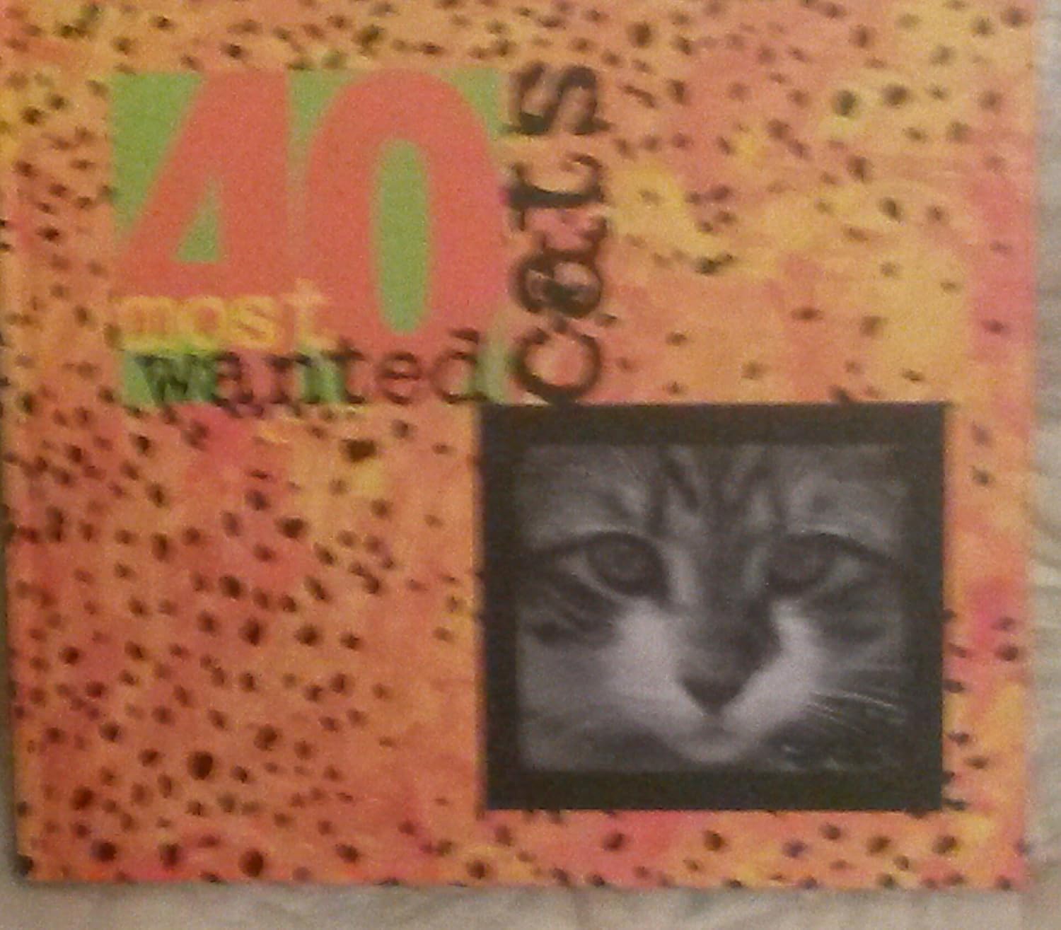40 Most Wanted Cats: Drosd, Nancy, Weil, Danielle: 9780765190628 ...