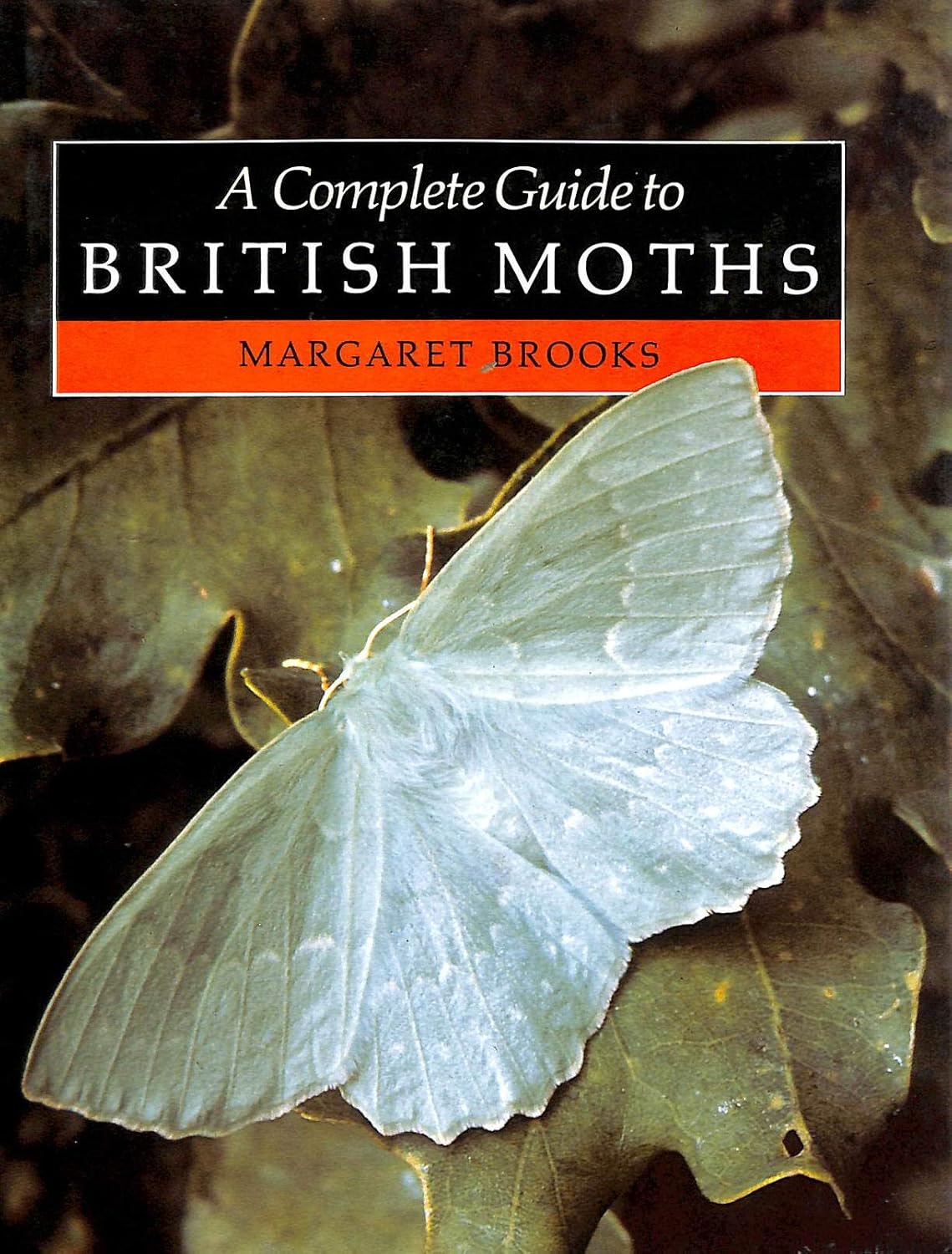 A Complete Guide to British Moths : Brooks, Margaret M., Knight ...