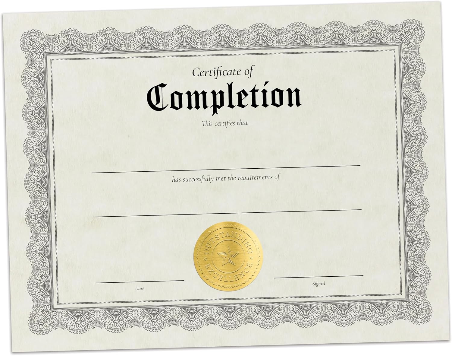 Amazon.com : Hill Valley Greetings Certificate of Completion - 30 Fill ...