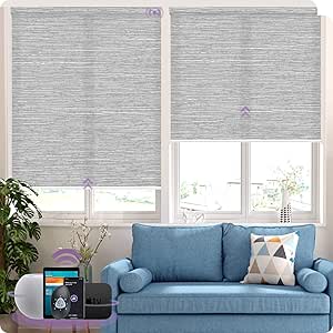 Amazon.com: Graywind Apple HomeKit Smart Blinds Motorized Window Shades ...