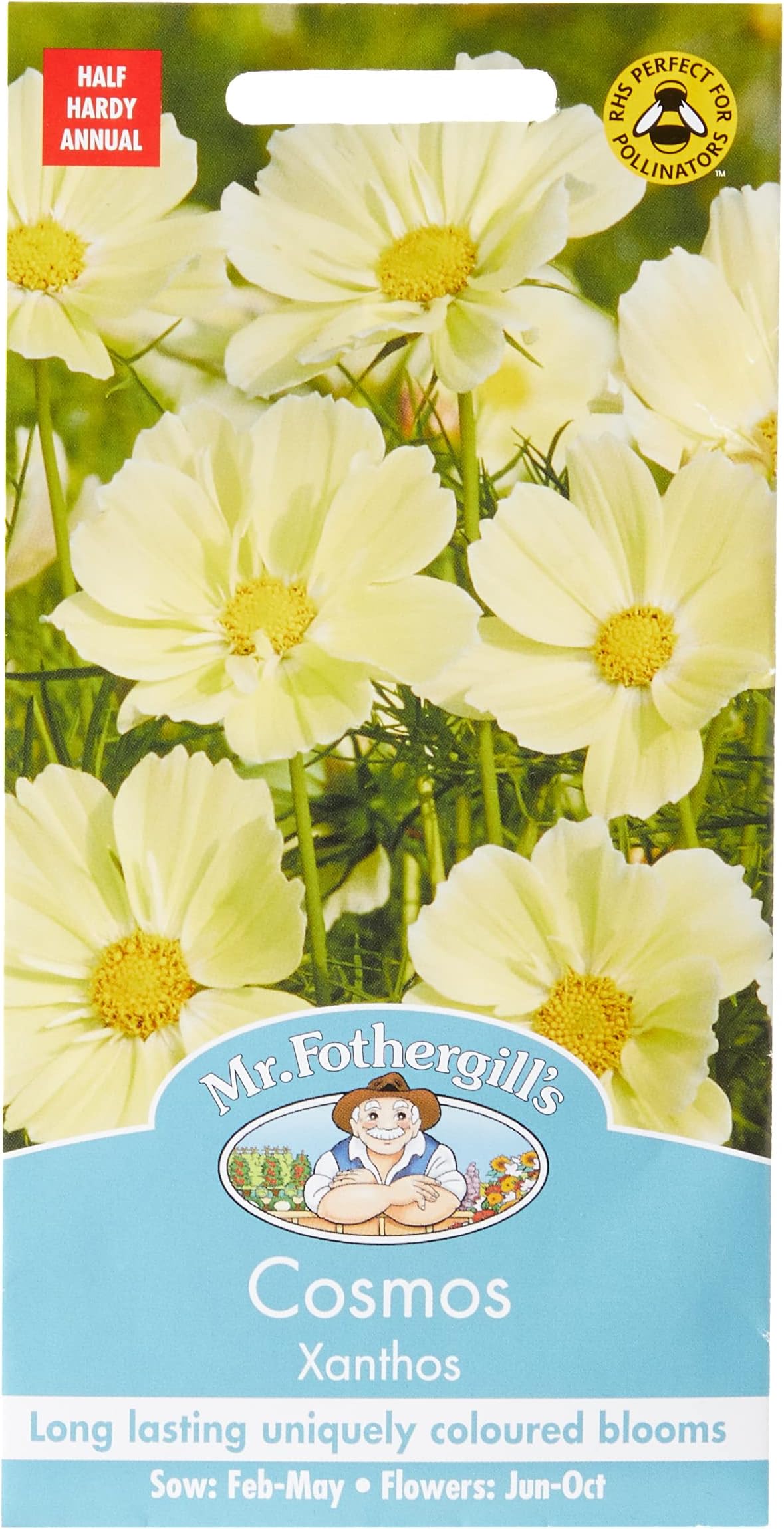 Mr Fothergill's RHS Canna Indica Large Flowered Hybrids : Amazon.co.uk ...