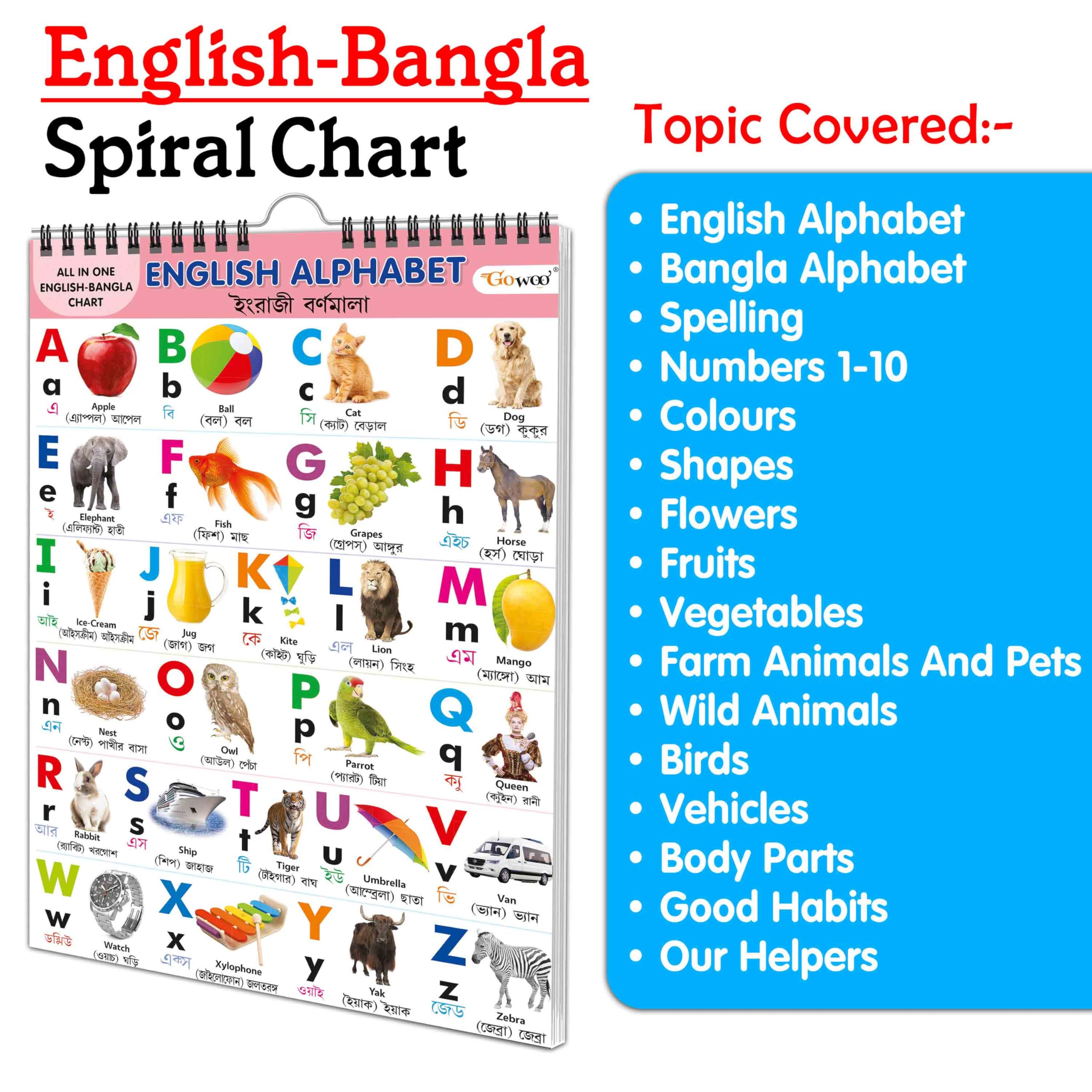 Buy Ukg Class Picture ENGLISH-BANGLA Chart With 16 Topics : English ...