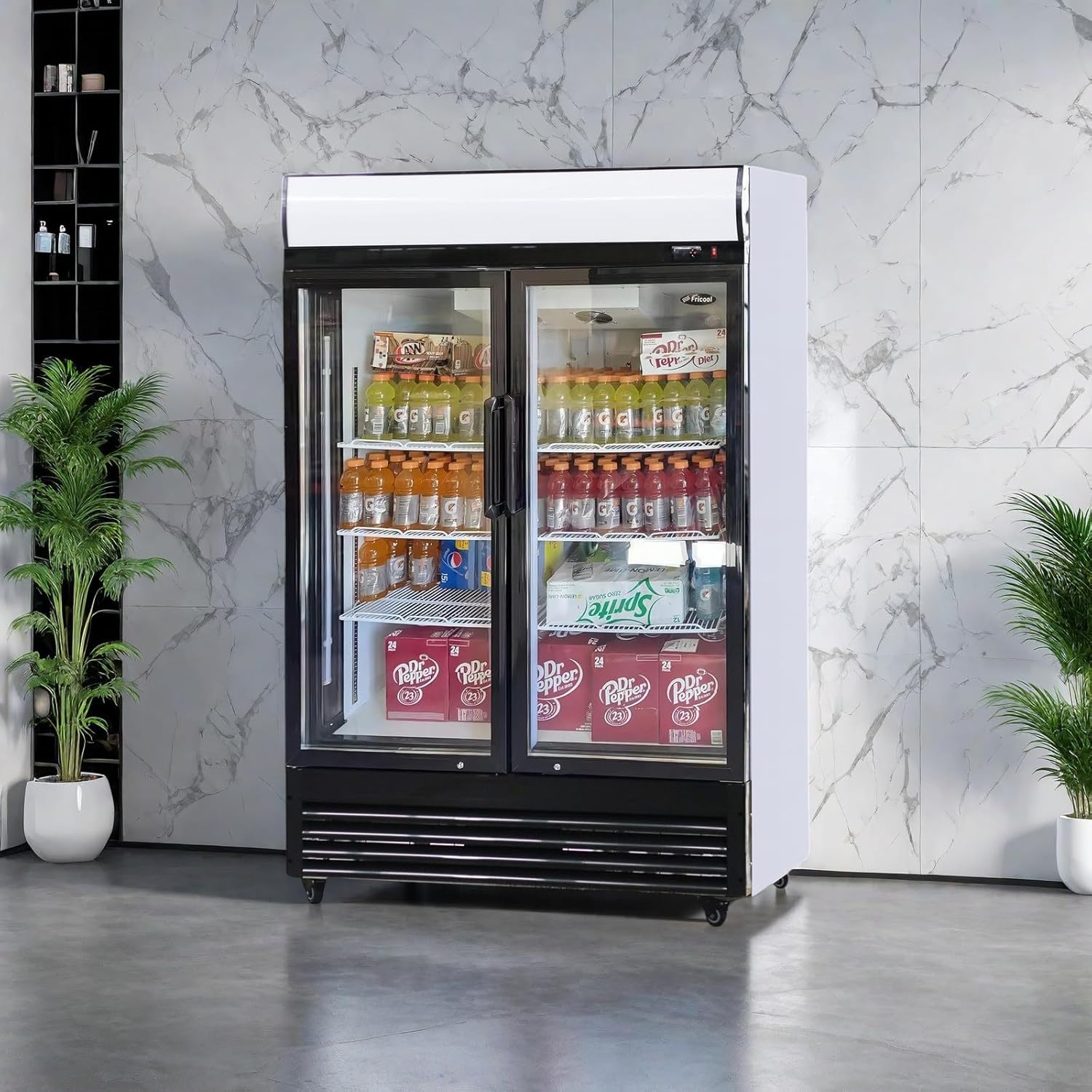 Amazon.com: FRICOOL Merchandiser Refrigerator with 2 Glass Doors, 31 cu ...