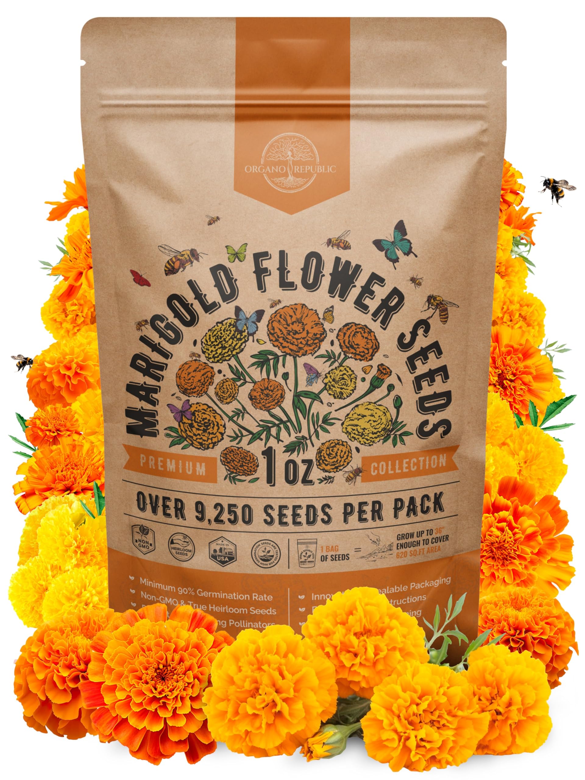 Amazon.com : Marigold Seeds Pack 1 oz - Over 9,250 Non-GMO Heirloom ...