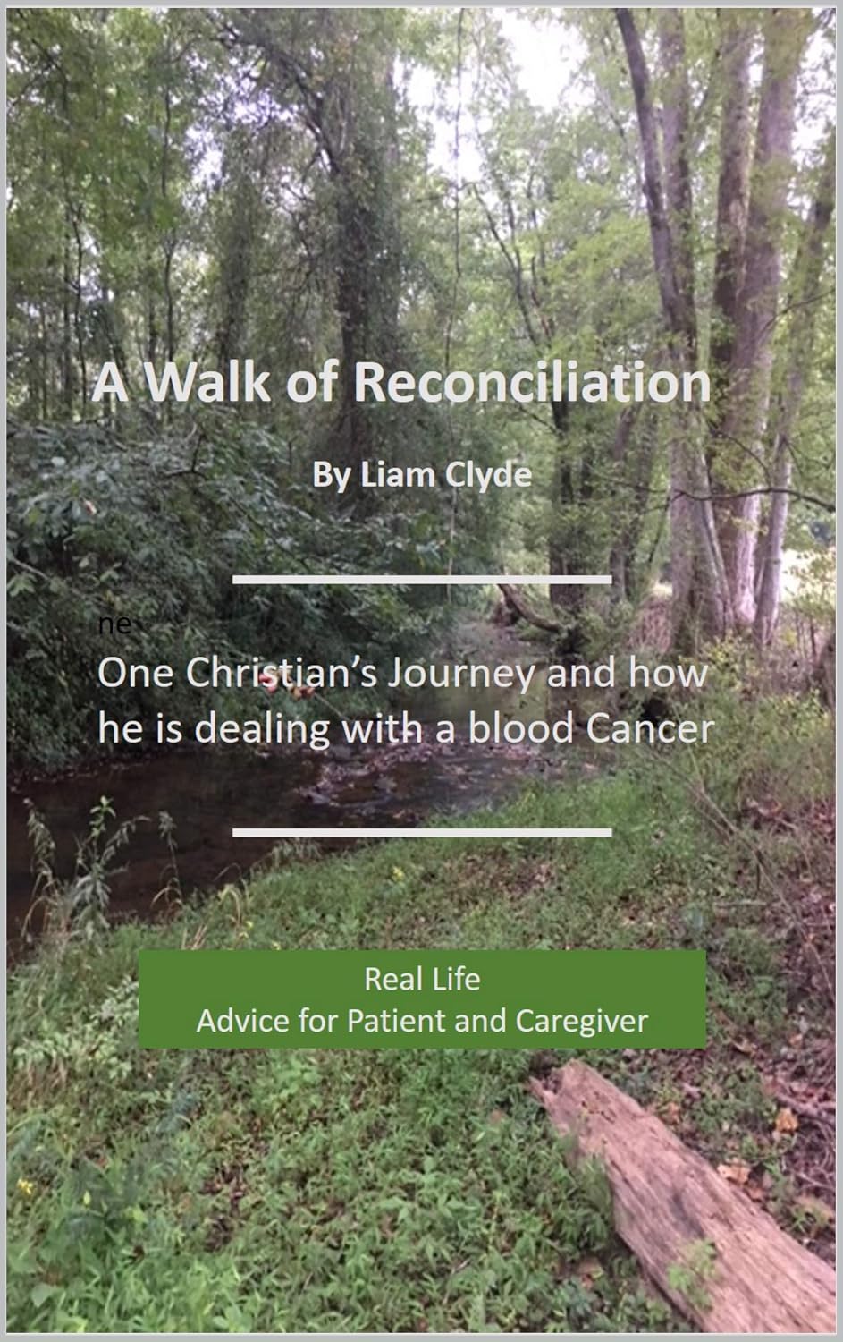 Amazon.com: A Walk of Reconciliation: One Christian's Journey and how ...
