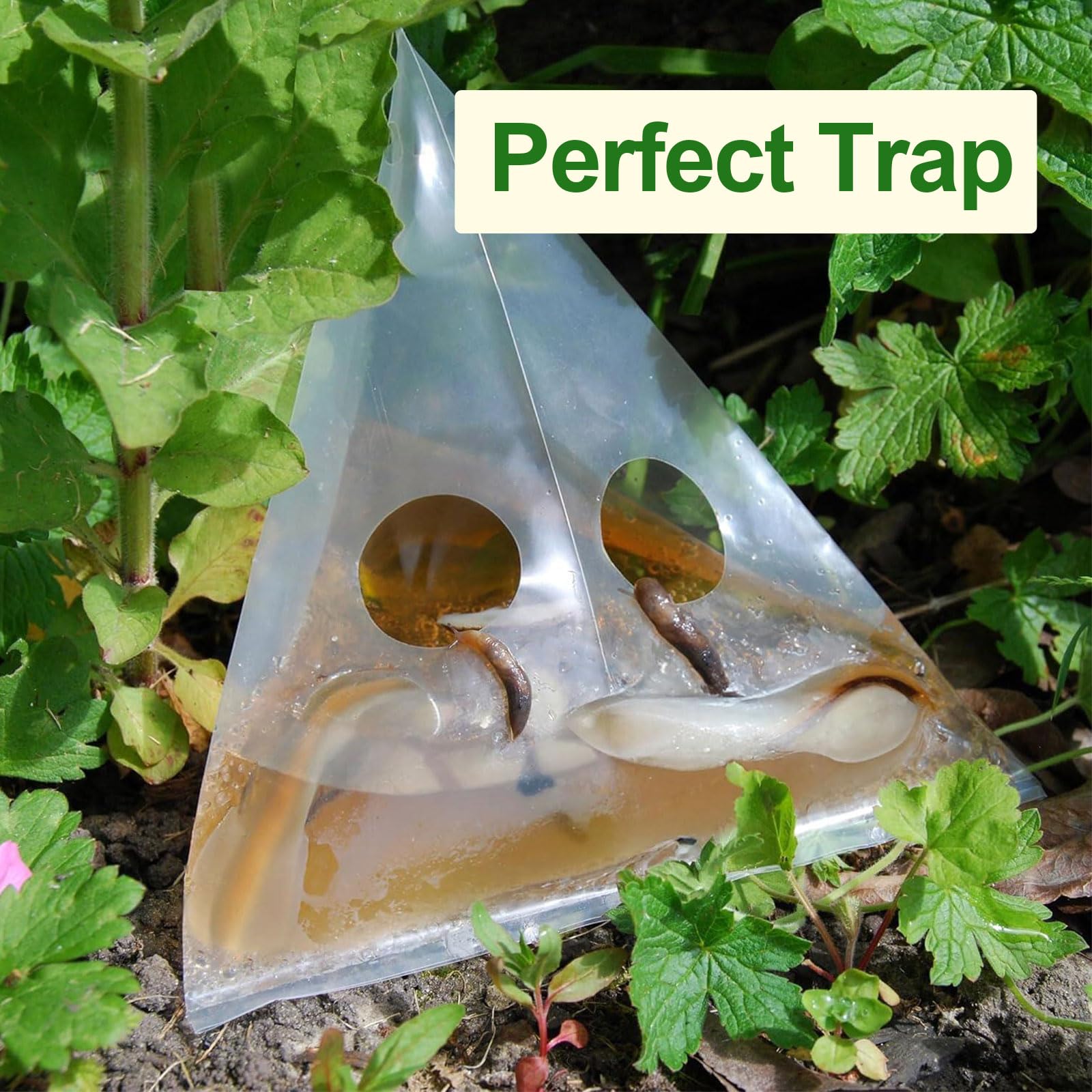 iwiio 20Pcs Slug Traps for Garden Nematodes for Slugs Beer Traps Slug ...