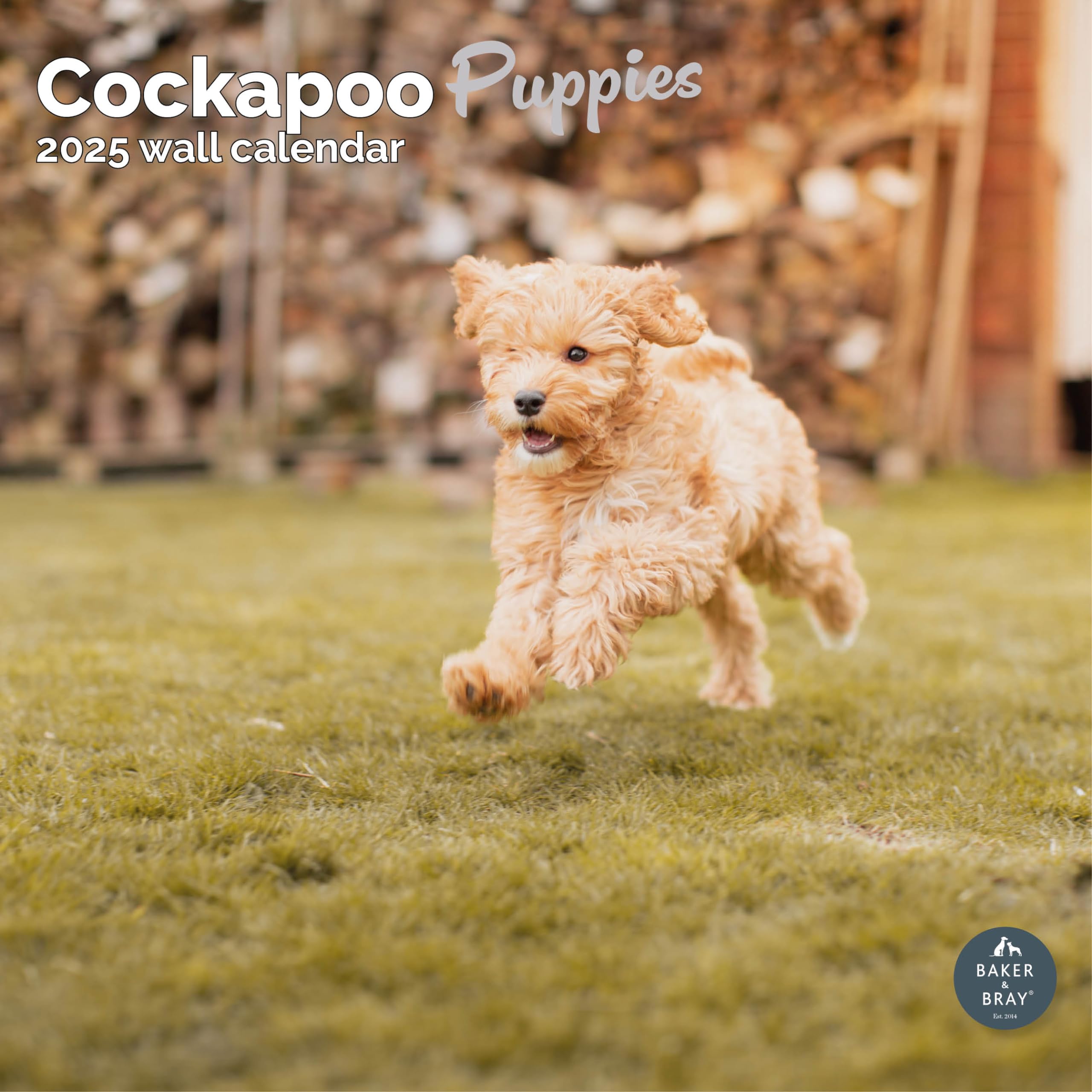 Baker and Bray Cockapoo Puppies Calendar 2025, Large Square Wall ...