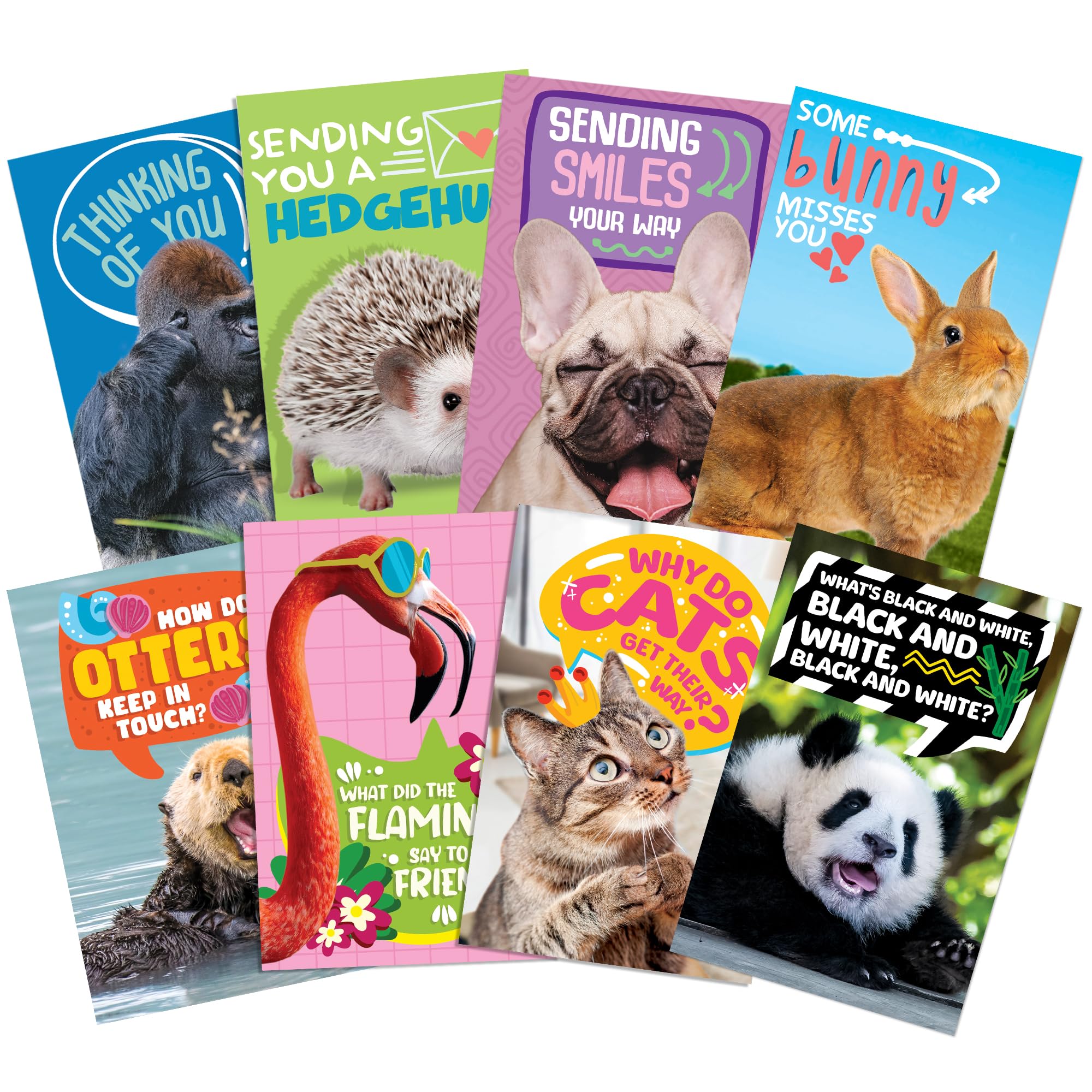Amazon.com : 80 Funny Animal Meme Joke Postcards - Bulk Pack 60 Unique ...