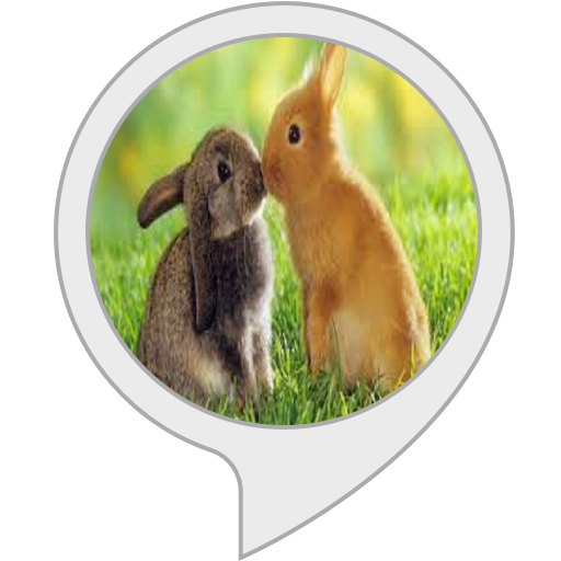 Amazon.in: Animal Facts : Alexa Skills