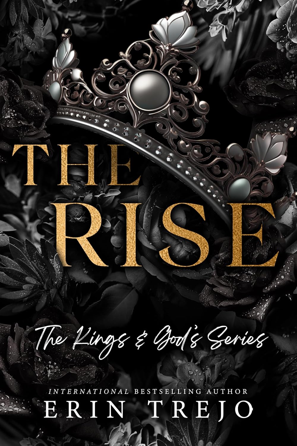 The Rise: Kings and Gods Series Book 3 - Kindle edition by Trejo, Erin ...