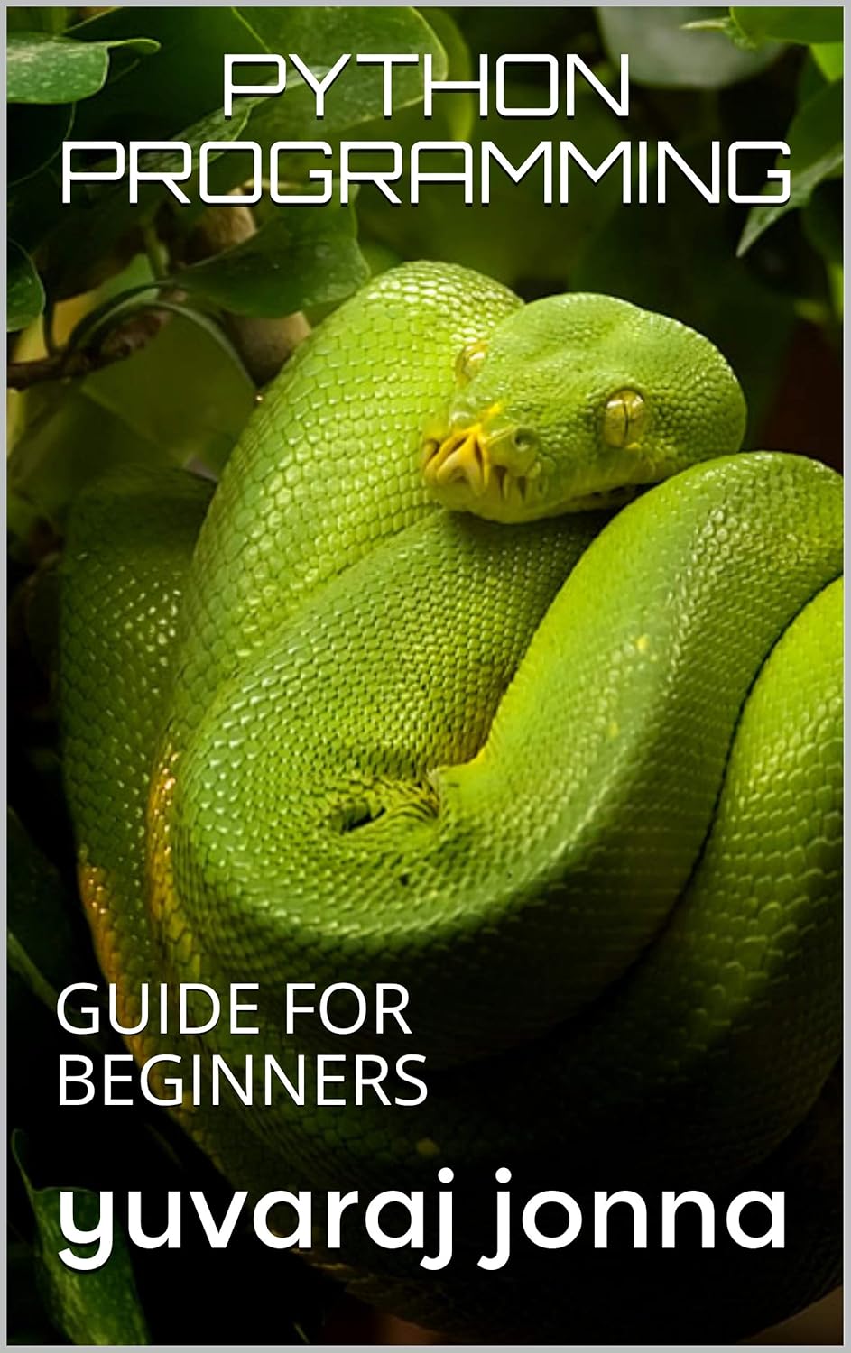 PYTHON PROGRAMMING: GUIDE FOR BEGINNERS eBook : jonna, yuvaraj: Amazon ...