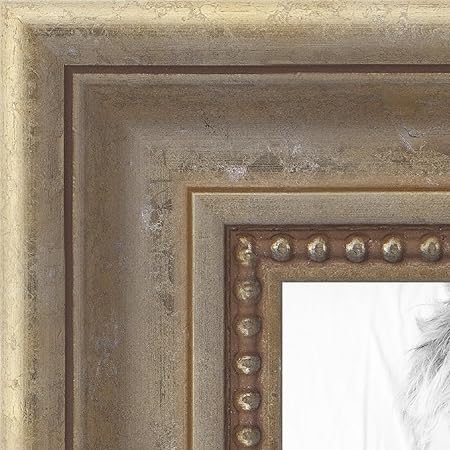 Amazon.com - ArtToFrames 8x12 inch Aged White Gold with Beaded ...