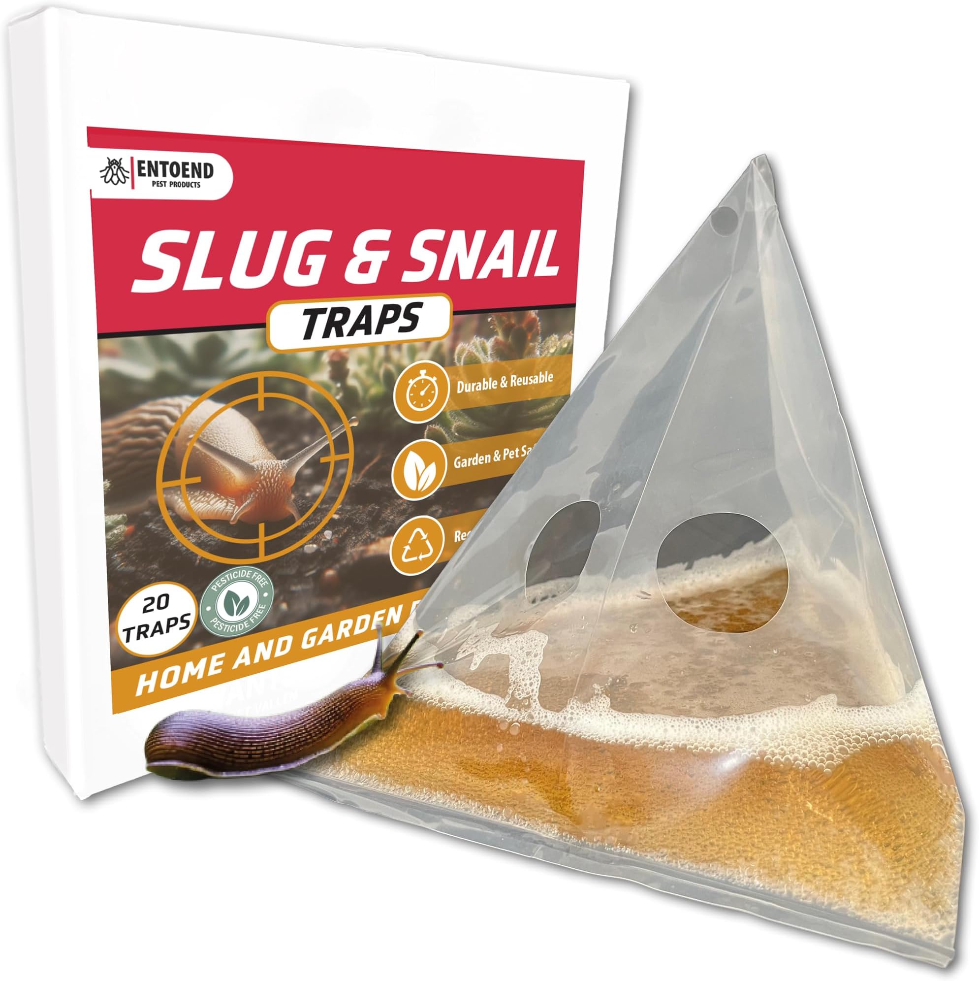 Garland GAL13ST Slug X Trap, Green, 25x20x10 cm : Amazon.co.uk: Garden