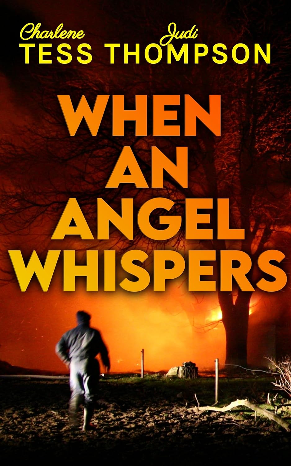When an Angel Whispers: A Psychological Thriller (Chance O'Brien Series ...