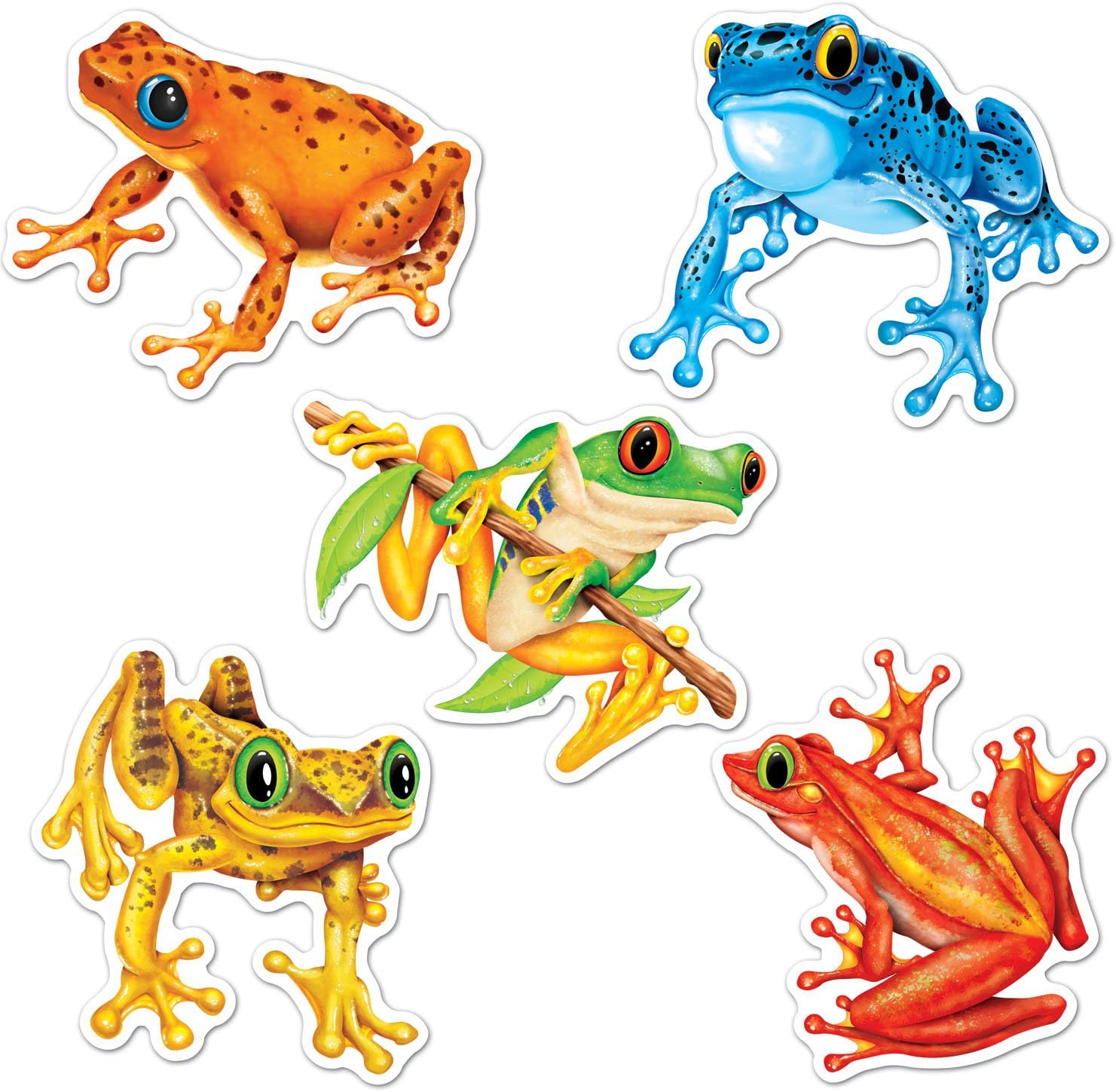 Amazon.com: Mini Frog Cutouts : Home & Kitchen