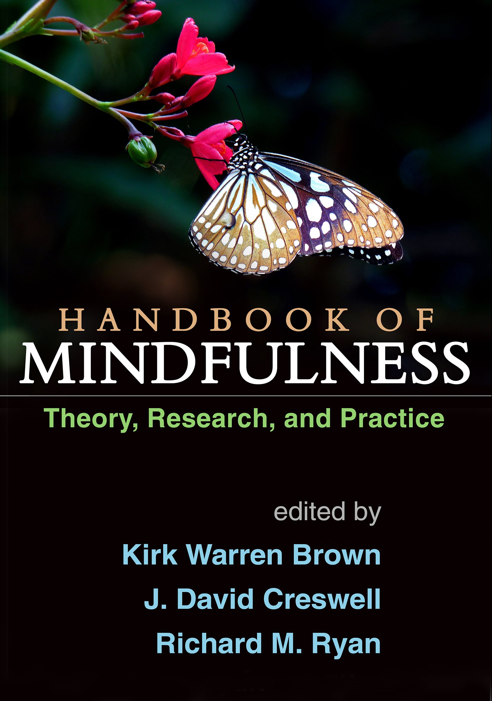 Handbook of Mindfulness: Theory, Research, and Practice: 9781462525935 ...