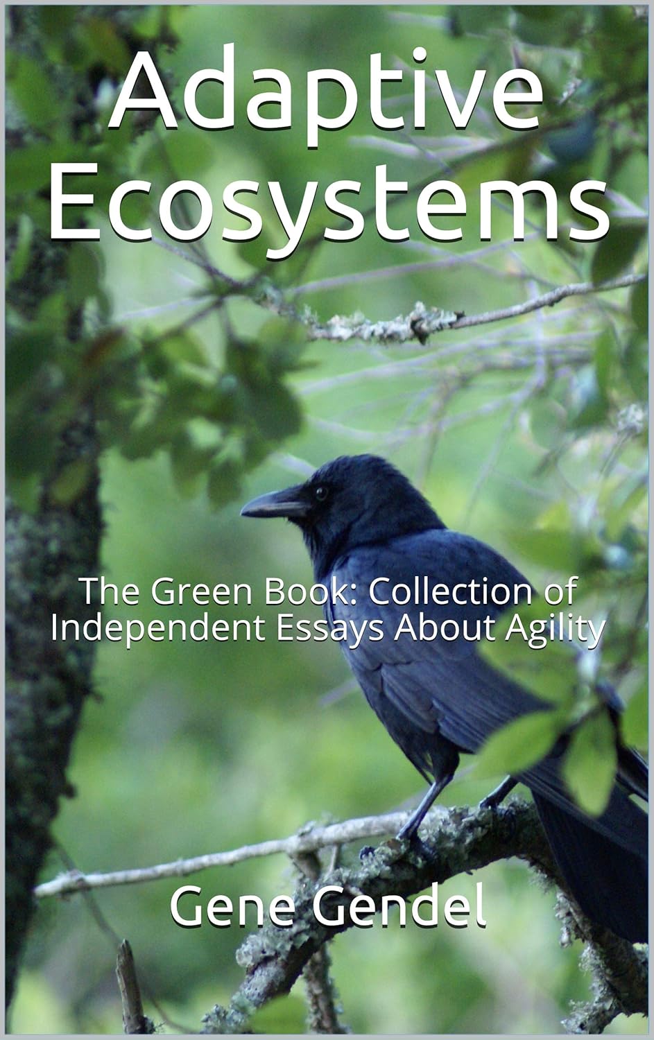 Amazon.com: Adaptive Ecosystems: The Green Book: Collection of ...