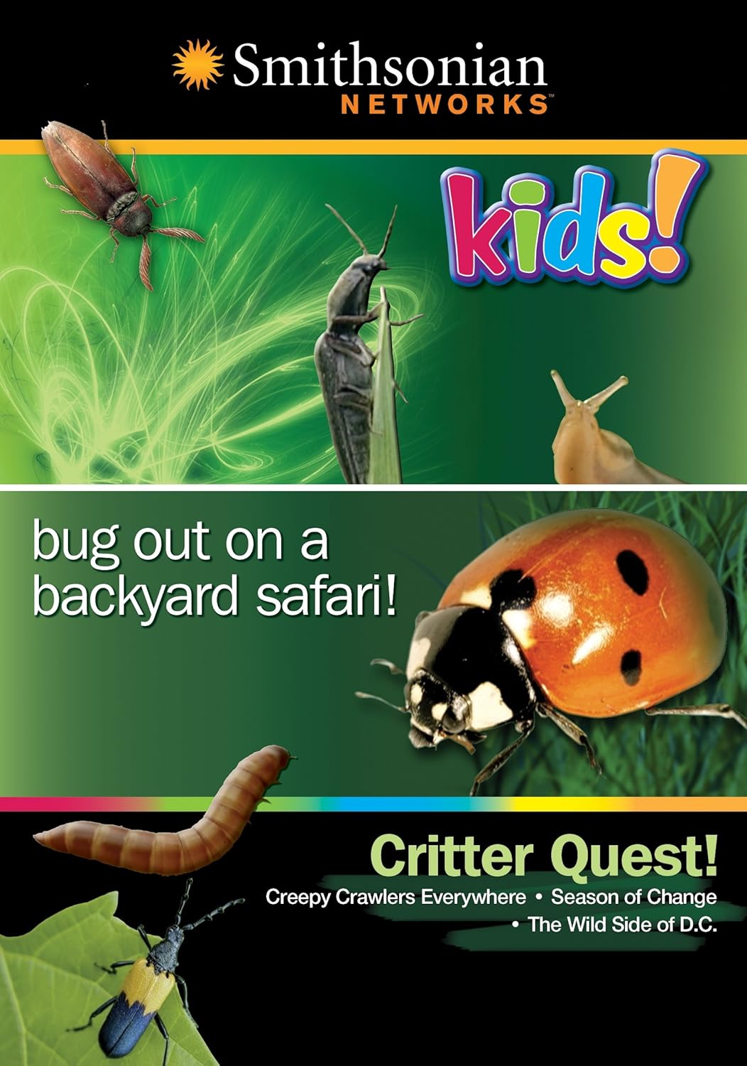 Critter Quest [USA] [DVD]: Amazon.es: Películas y TV