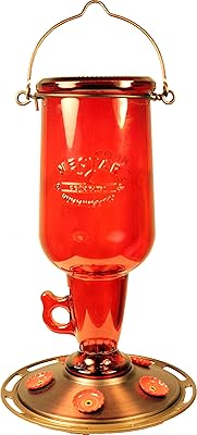 Amazon.com : Stokes Select More Birds Hummingbird Feeder, Glass ...
