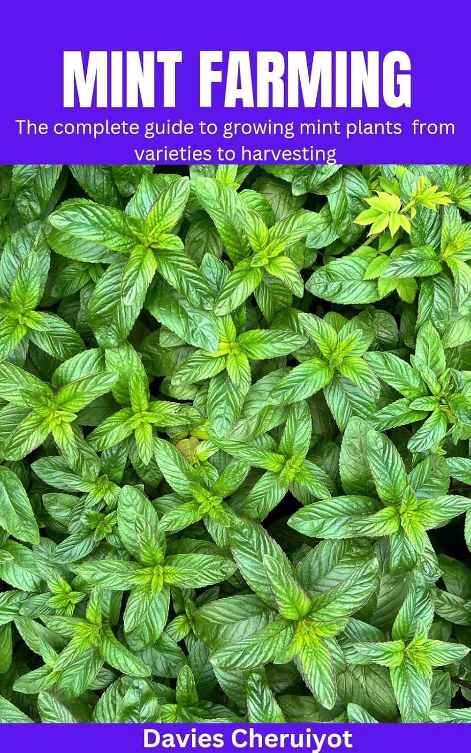 MINT FARMING: The complete guide to growing mint plant from varieties ...