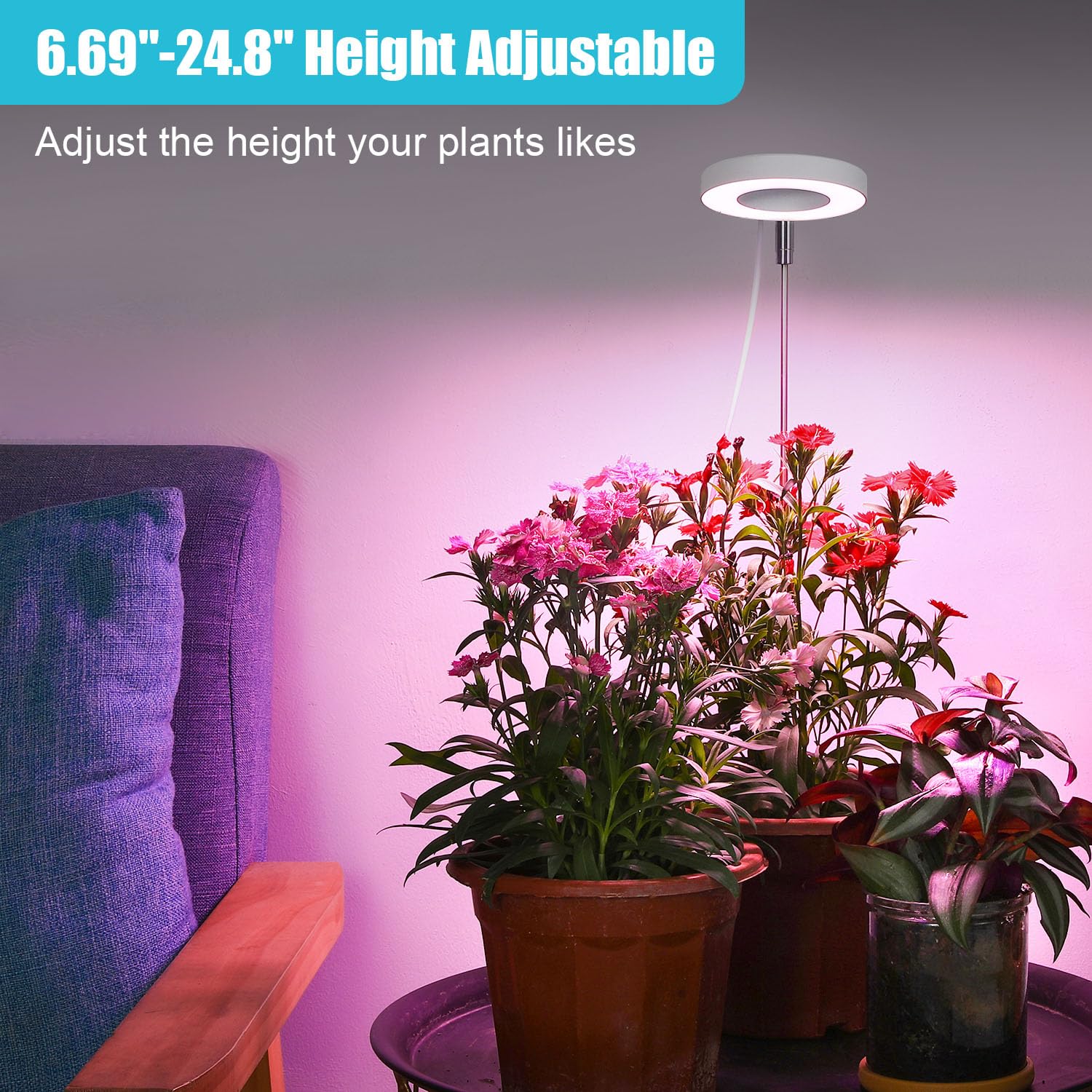 Snapklik.com : Halo Ring Grow Lights For Small Indoor Plants, Red+Blue ...