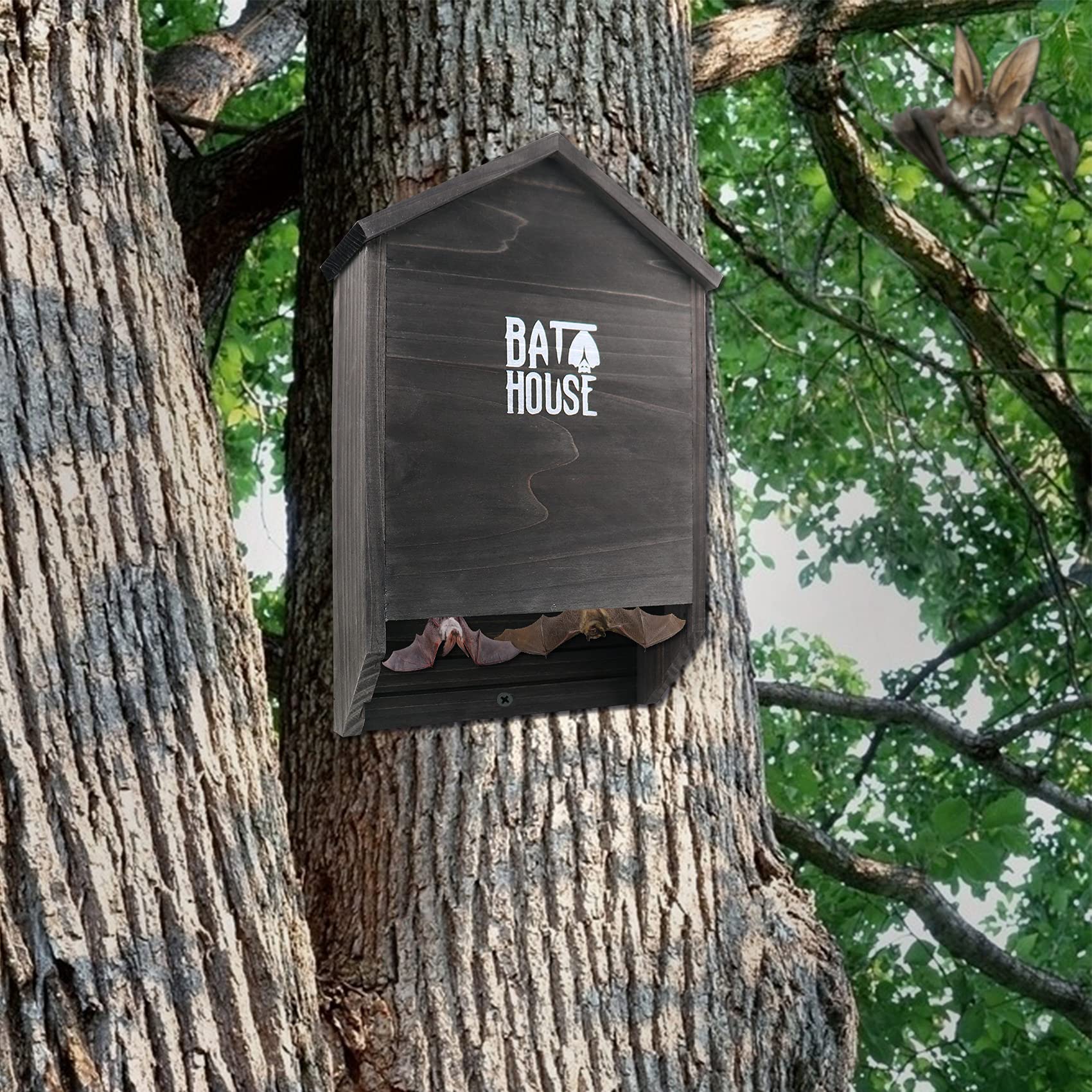 Bat House for Outdoors,Double Chamber Cedar Bat Shelter, Convenient for ...
