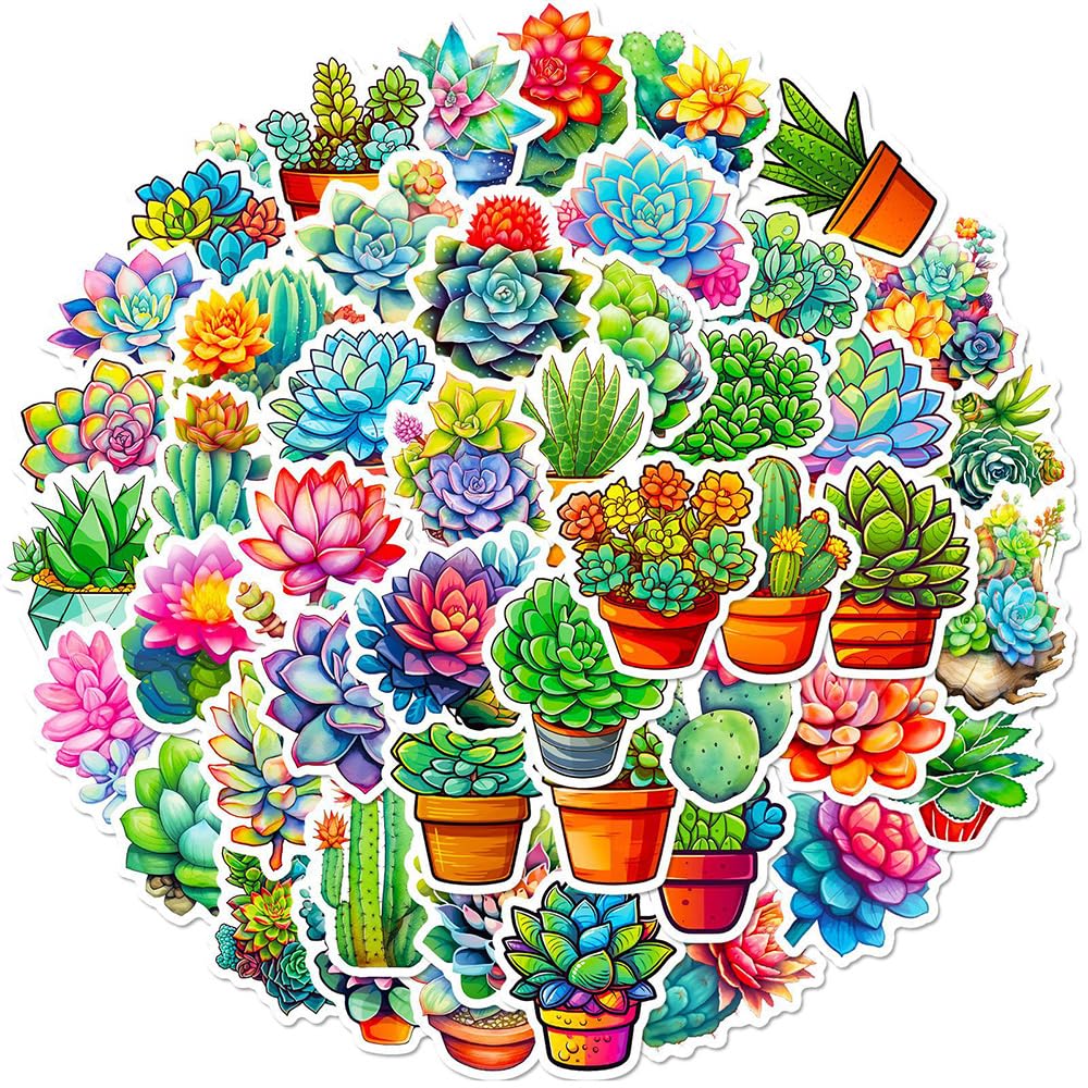 Amazon.com: Succulent Plant Stickers for Kids Girls Boys Teens|50 Pcs ...