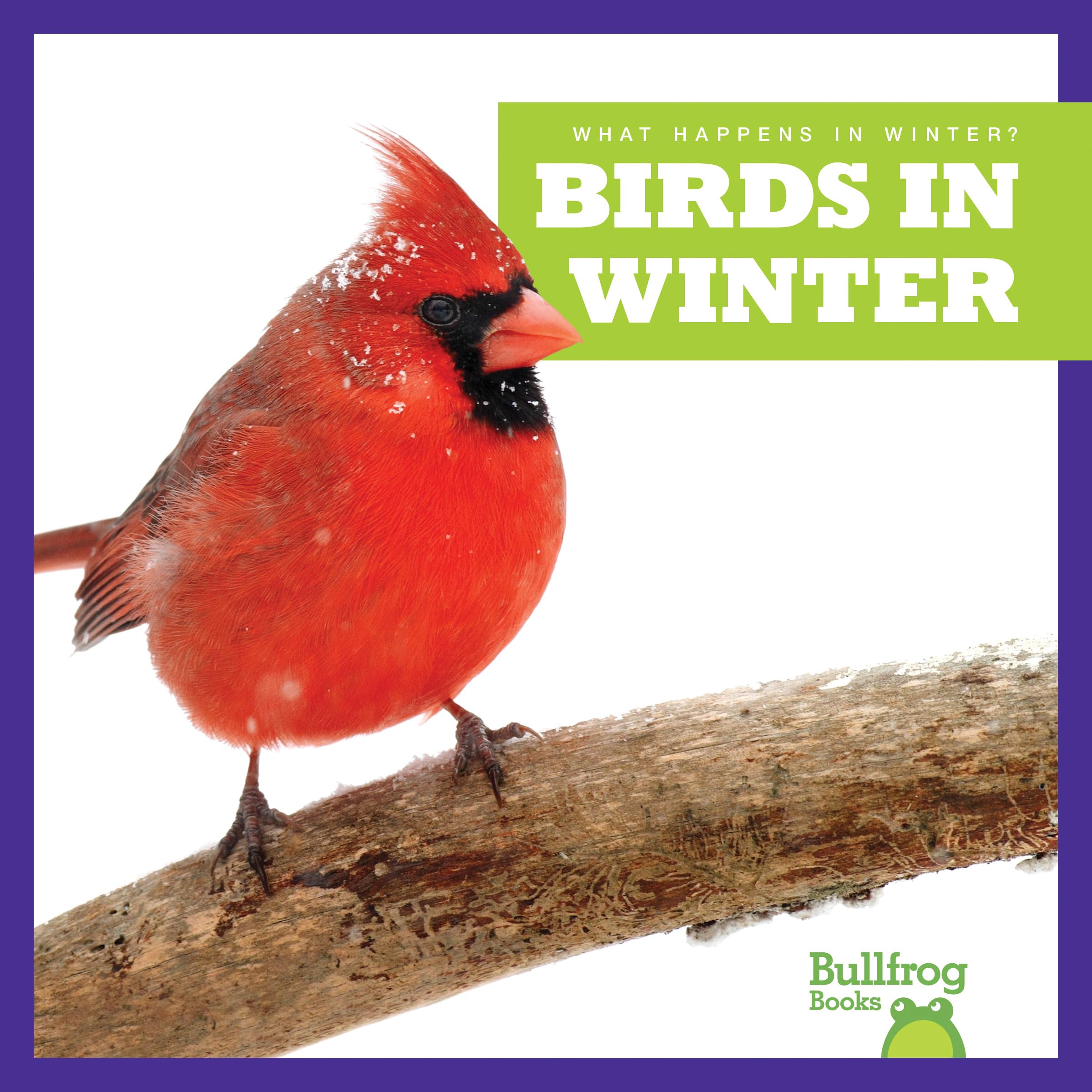 Birds in Winter (Bullfrog Books: What Happens in Winter?): Jenny ...