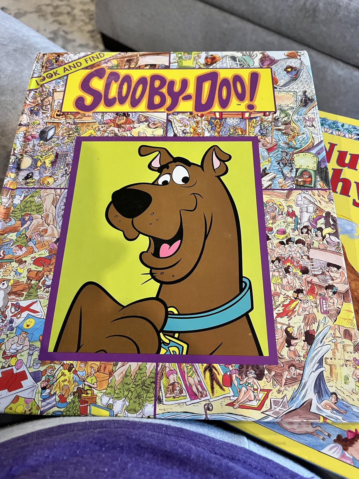 Scooby Doo (Look and Find): Emily Thornton Calvo, Joel Zadak ...