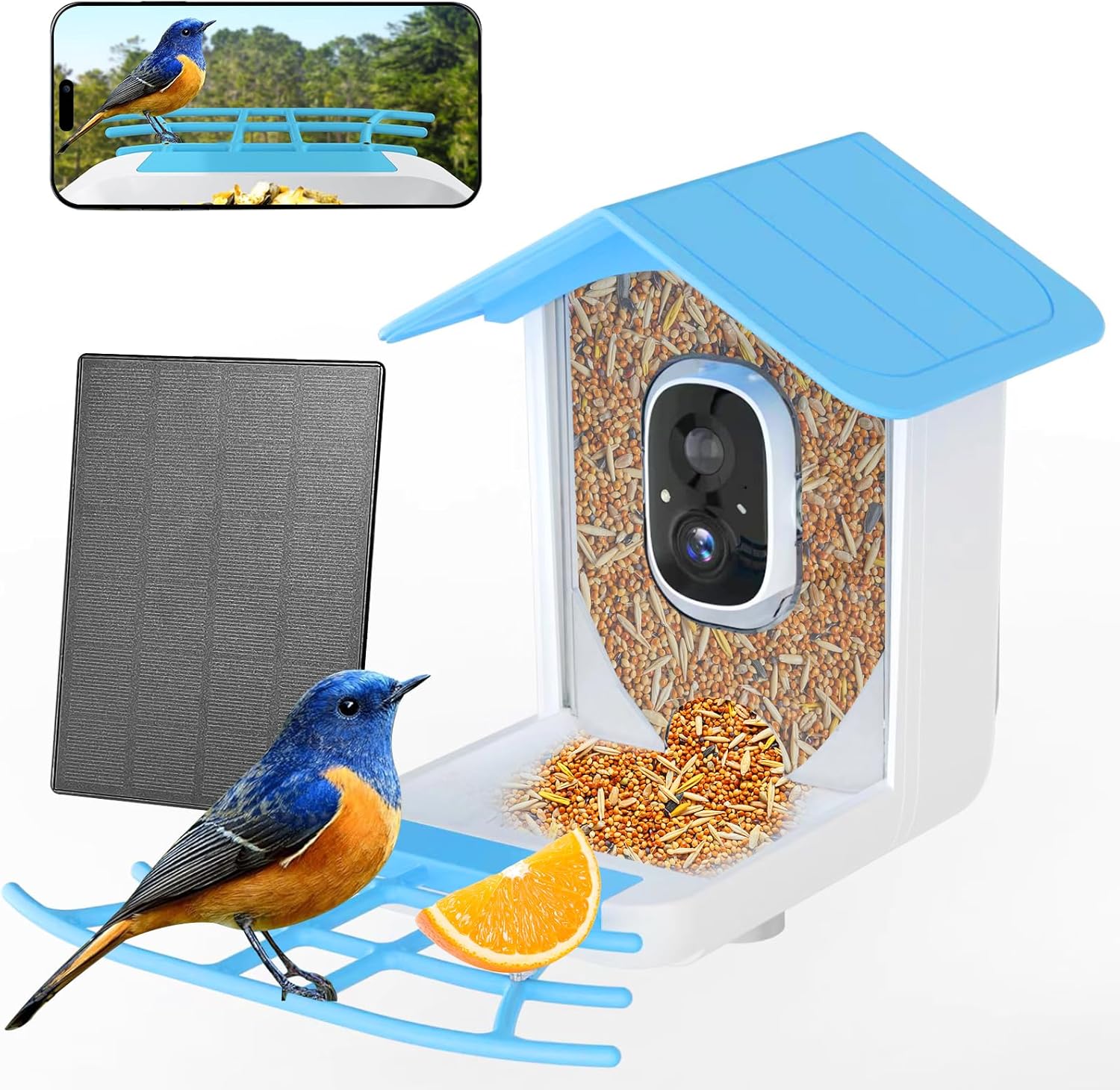 Amazon.com : Smart Bird Feeder with Camera, AI Bird Species ...