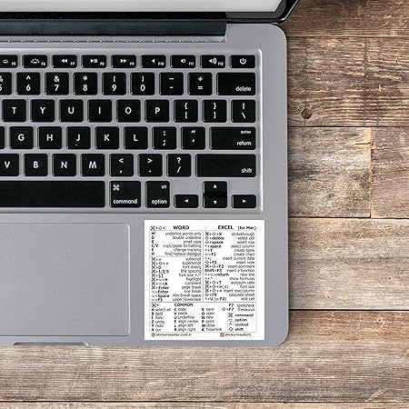 Amazon.com: SYNERLOGIC Windows + Word/Excel (for Windows) Quick Reference Guide Keyboard ...