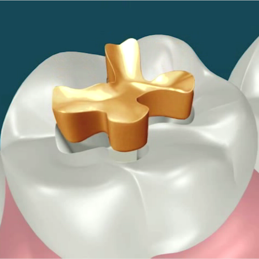 The Tooth Dental Consultation software - App on Amazon Appstore