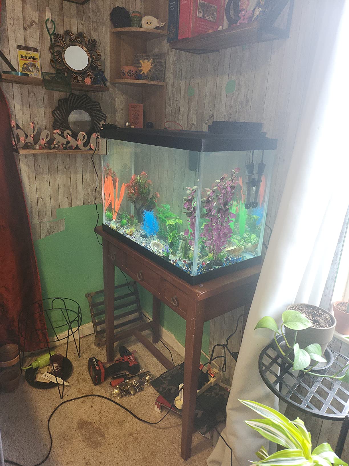 Tetra Aquarium 20 Gallon Fish Tank Kit at Gabrielle Trouton blog