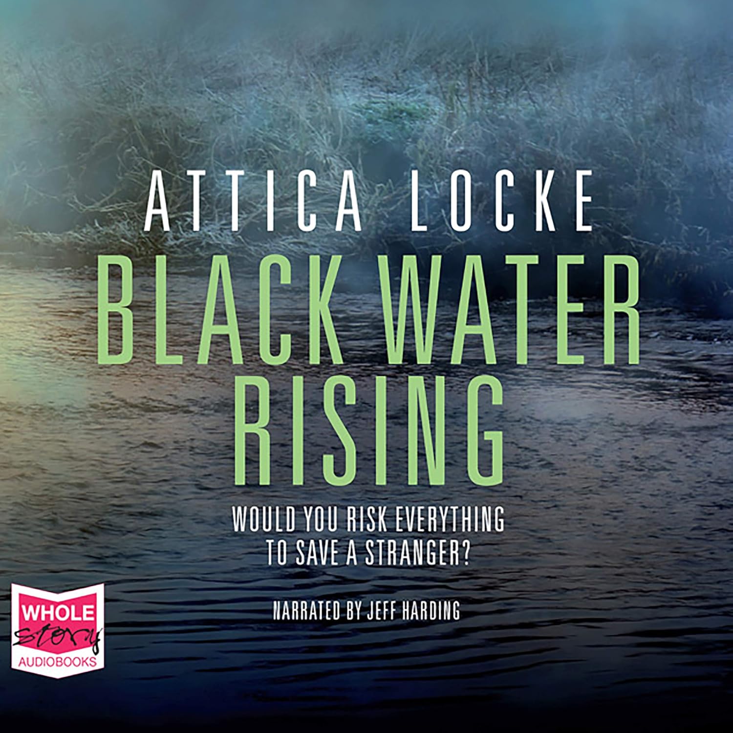 Amazon.com: Black Water Rising (Audible Audio Edition): Attica Locke ...