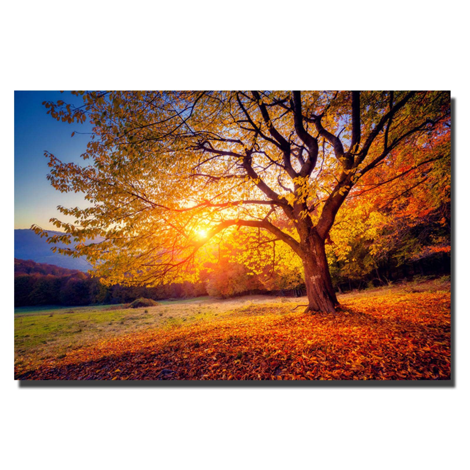 Beautiful Nature Landscape Pictures Large Scenic Beauty Of Nature