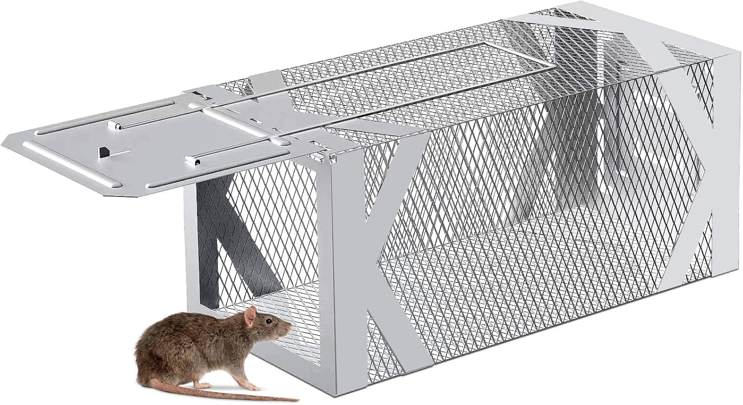 Amazon.com : Humane Rat Trap, Chipmunk Rodent Trap That Work for Indoor ...