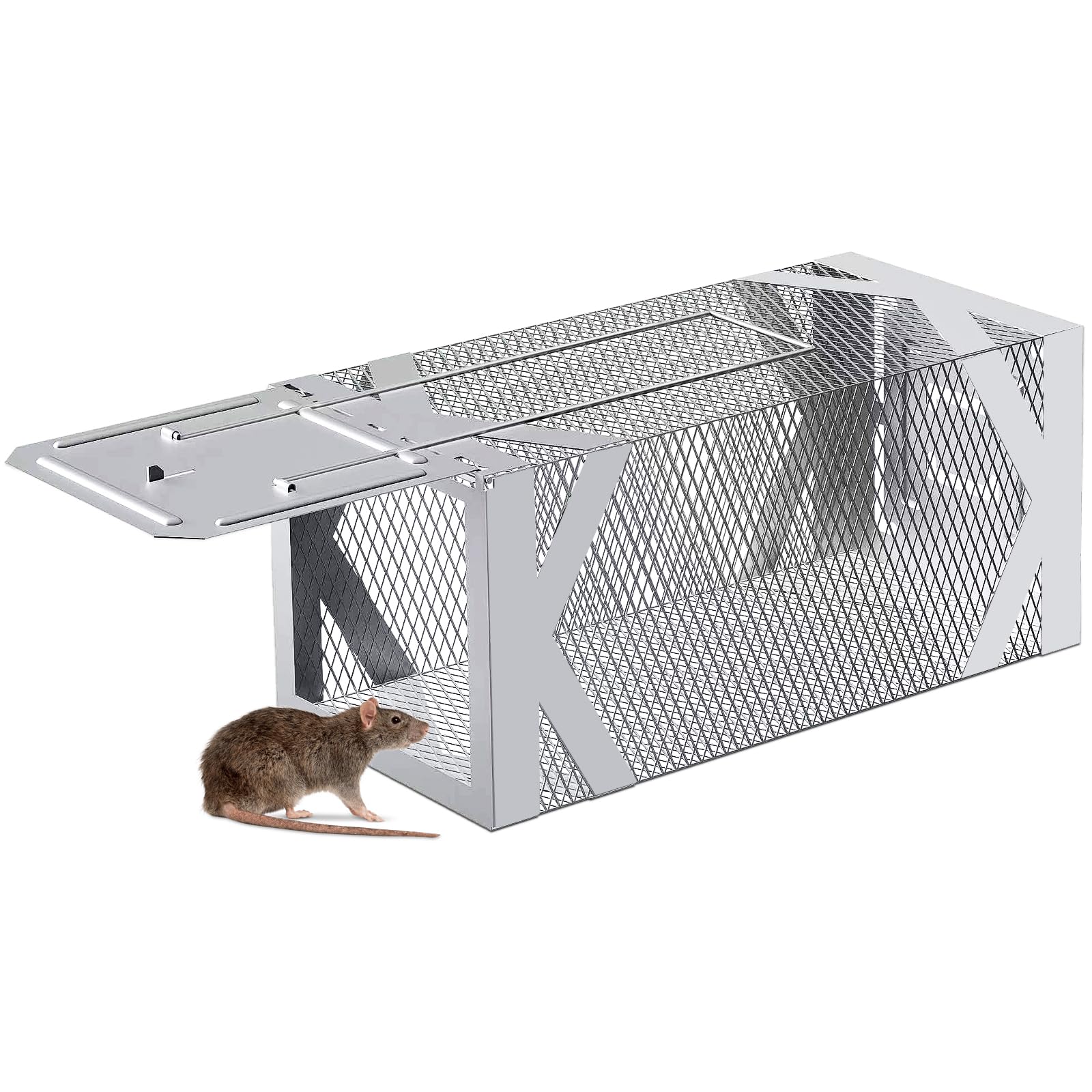 Amazon.com : Humane Rat Trap, Chipmunk Rodent Trap That Work for Indoor ...