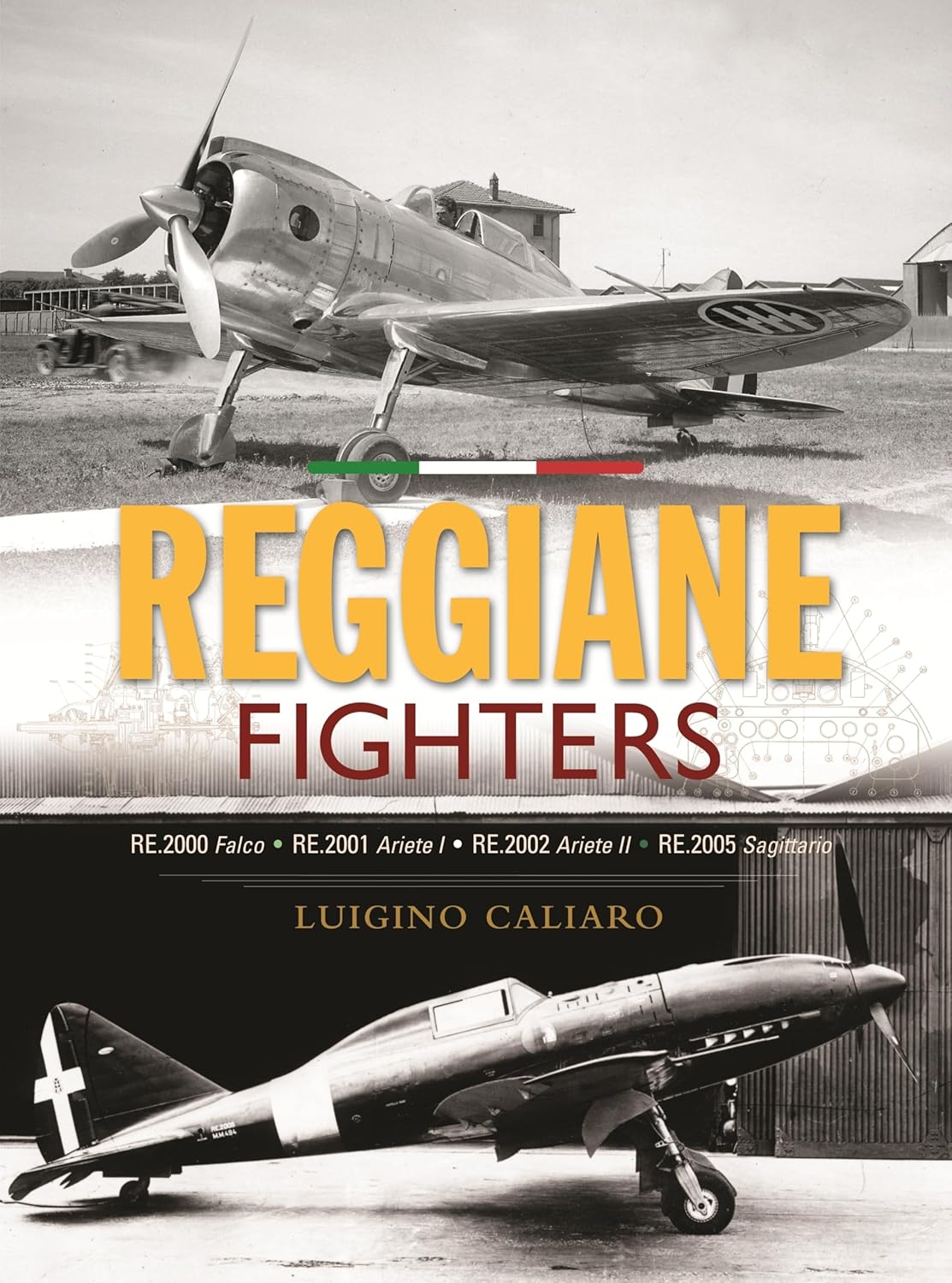 Amazon | Reggiane Fighters: Re.2000 Falco, Re.2001 Ariete I, Re.2002 ...