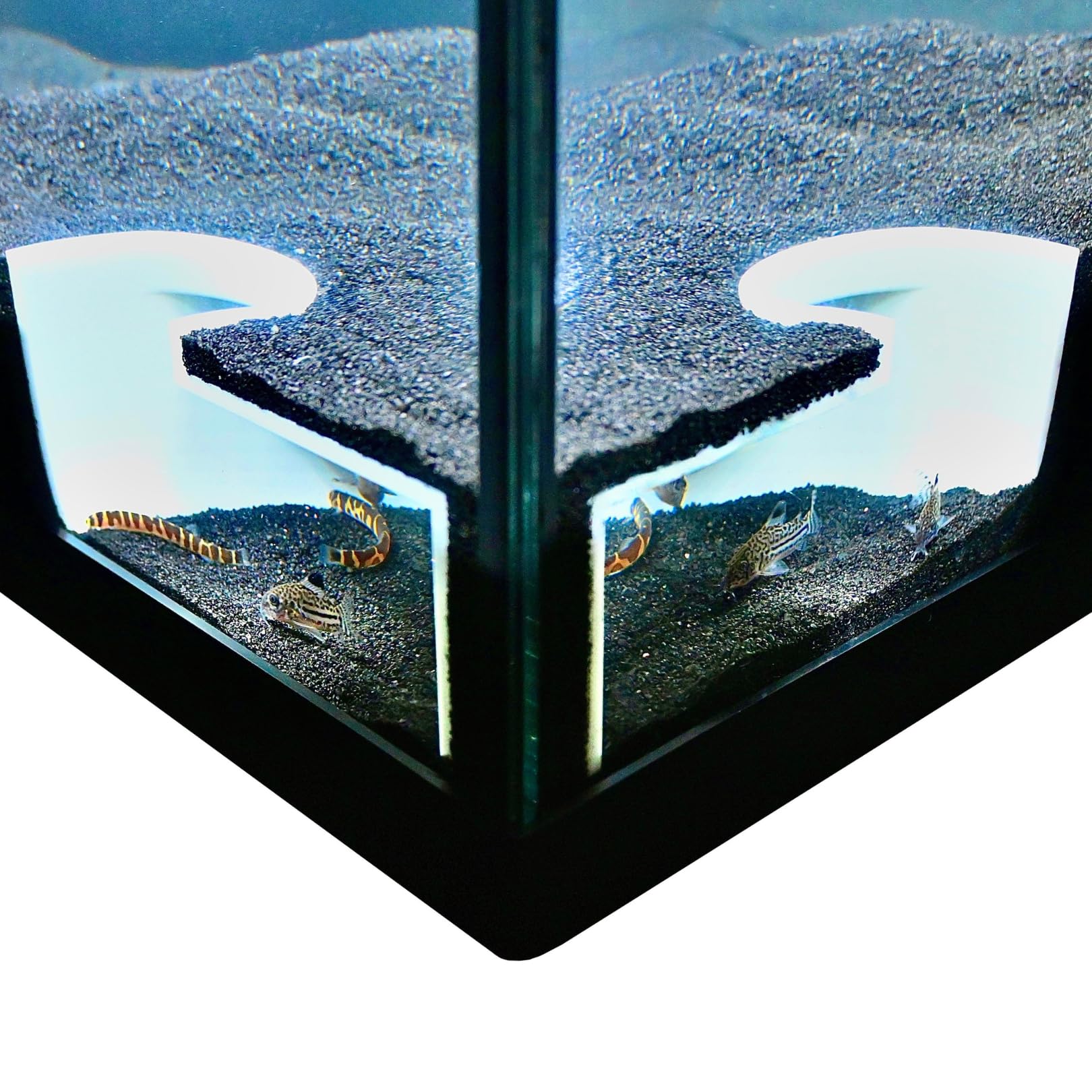 Buy Aquarium Underground Two Hole Corner Cave | Viewing Fish & Shrimp ...