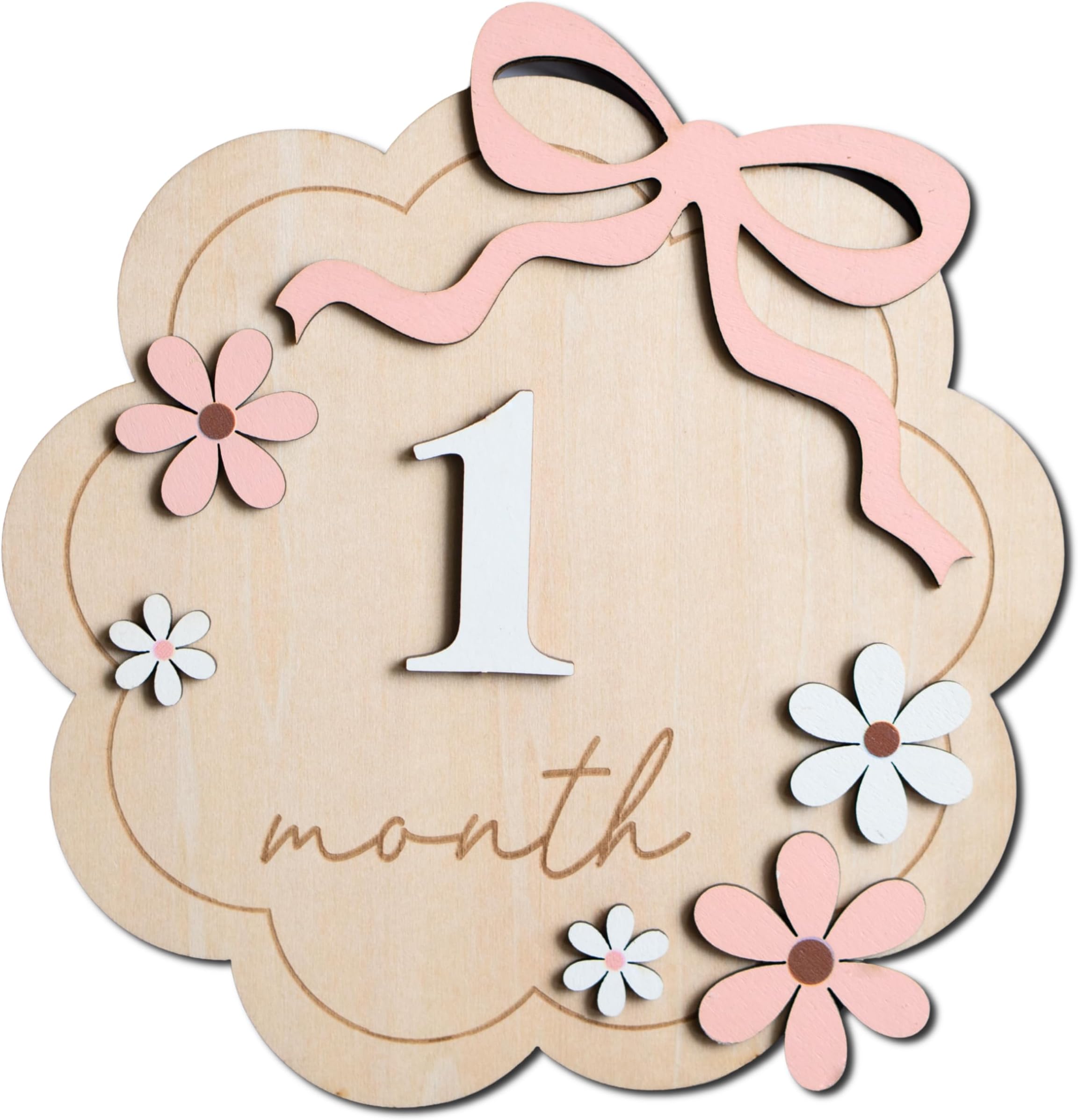 Amazon.com : Baby Monthly Milestone Sign,1-12 Monthly Baby Milestone ...