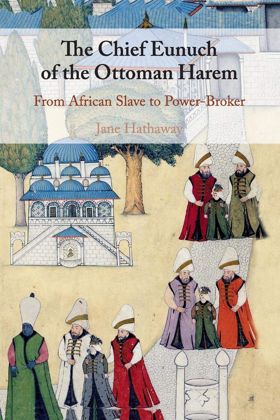 Amazon.com: The Chief Eunuch of the Ottoman Harem: 9781107519206 ...