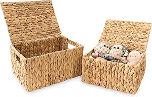 Amazon.com: Wicker Storage Baskets with Lid, Set 2 Basket With Lid ...