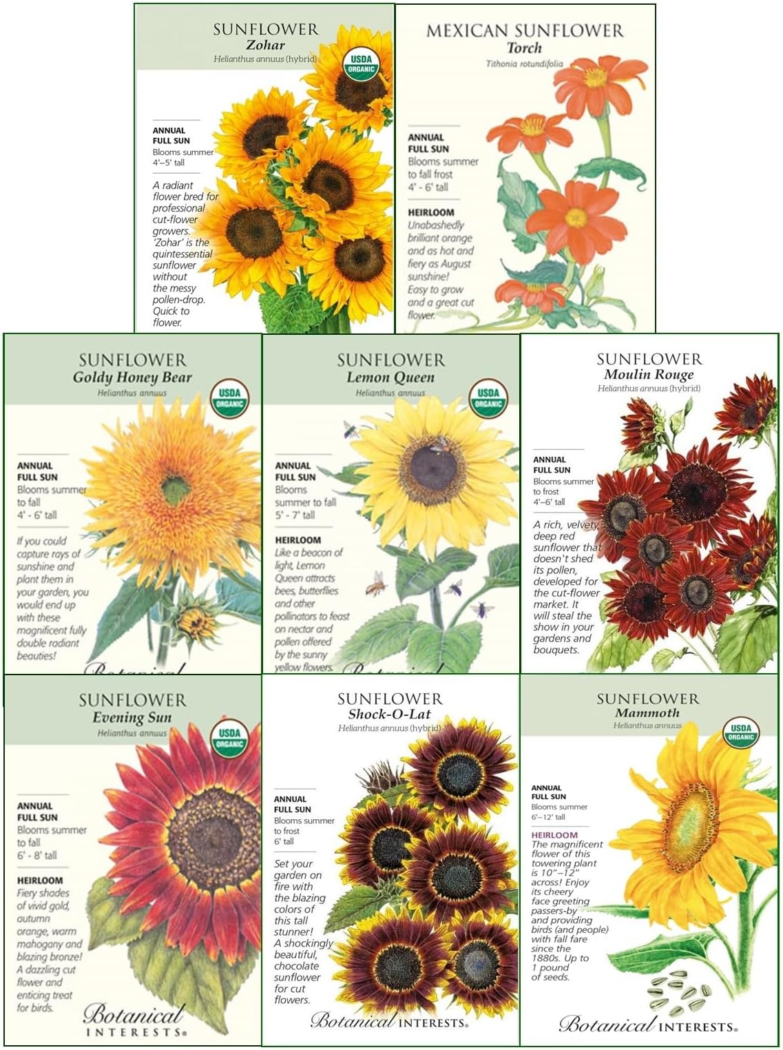 Amazon.com : Botanical Interests Non-GMO Starter Veggies Seed ...