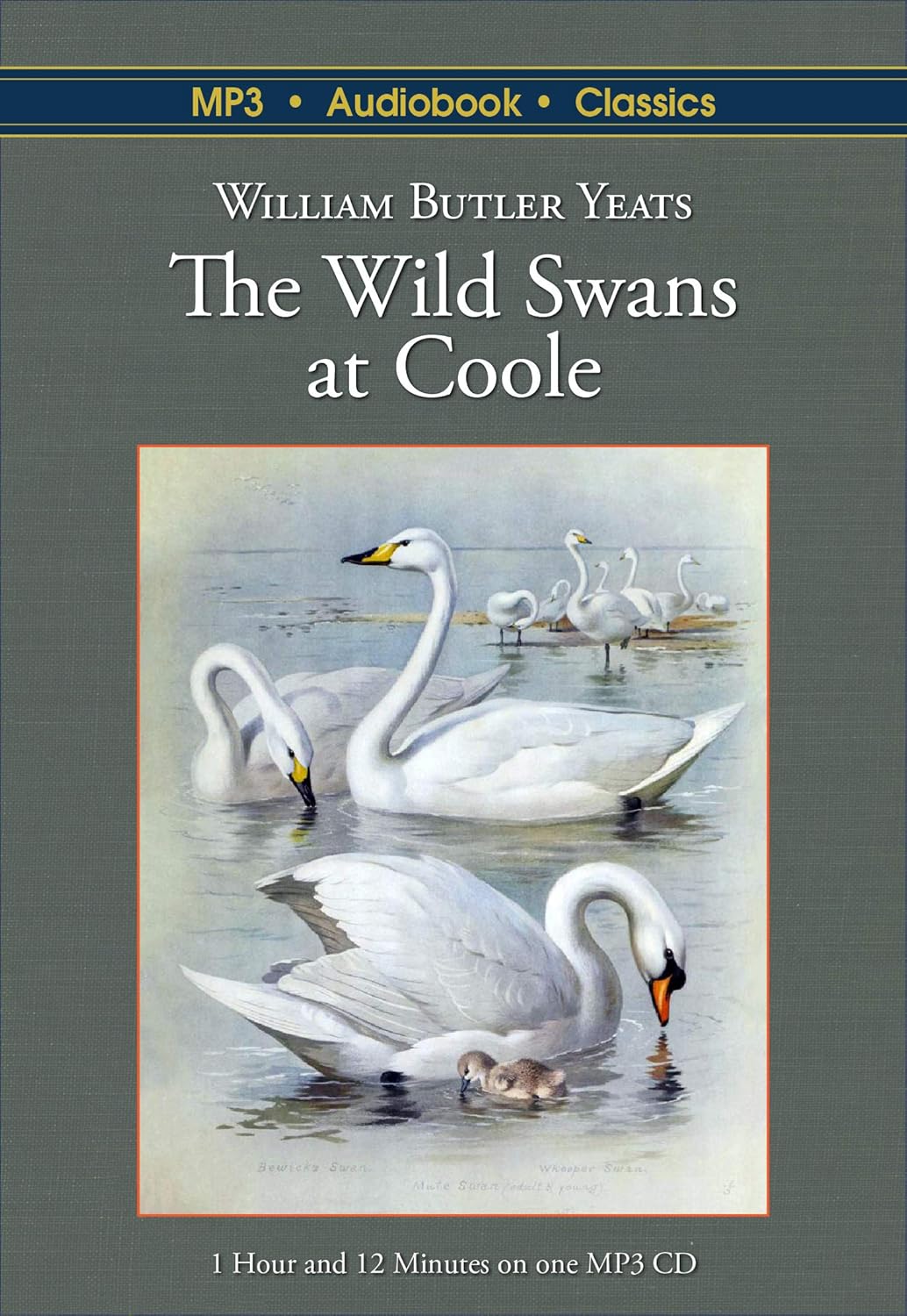 Amazon.com: The Wild Swans at Coole - MP3 CD Audiobook: Everything Else
