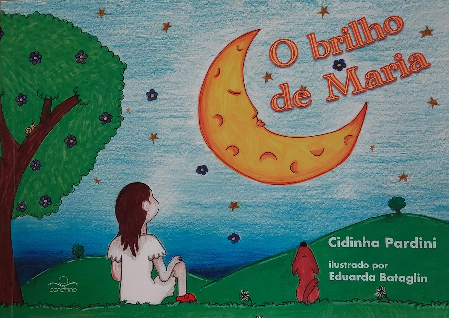 Amazon.com.br eBooks Kindle: O brilho de Maria, Pardini, Cidinha ...