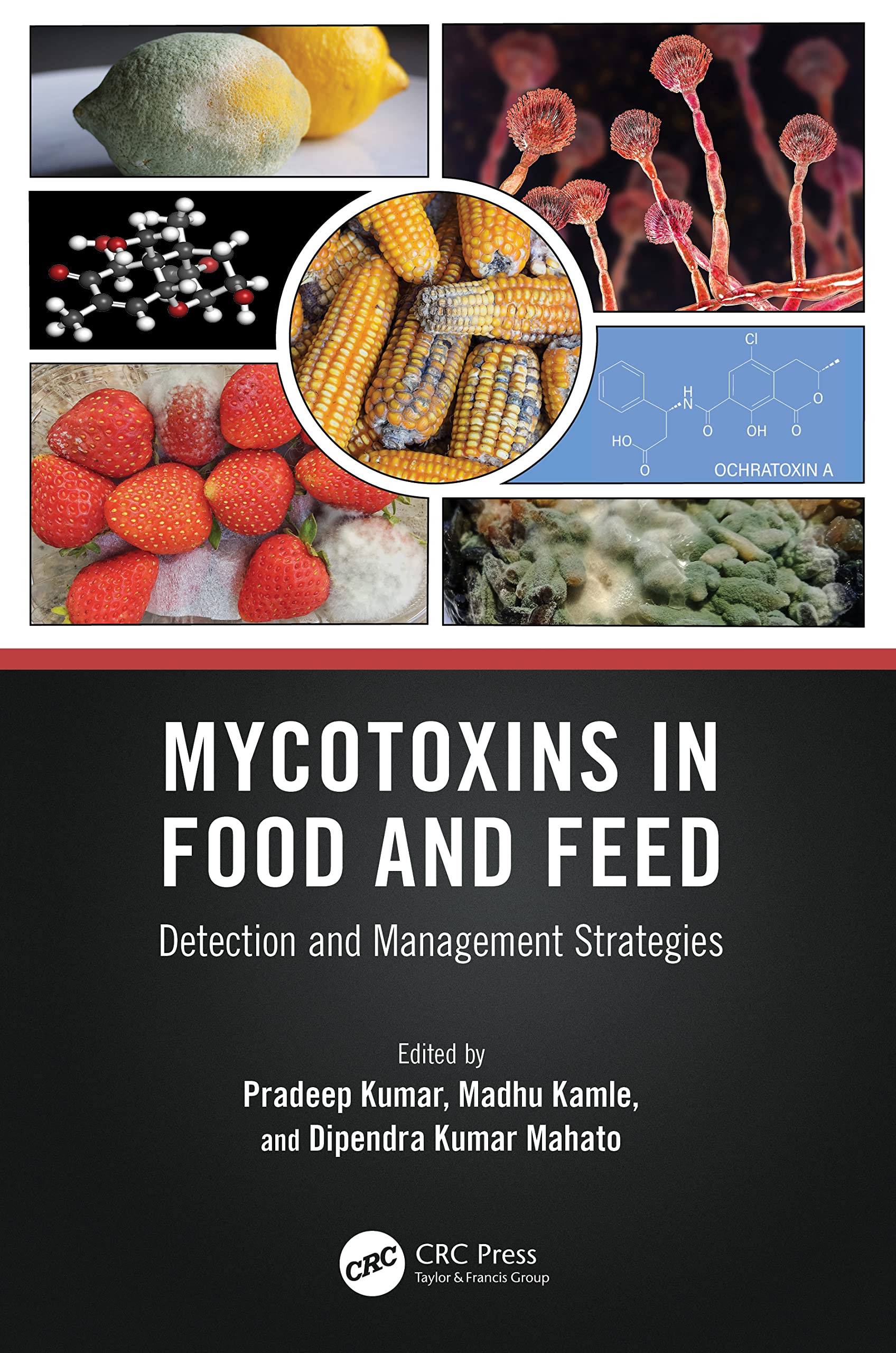 Mycotoxins in Food and Feed: 9781032150352: Medicine & Health Science ...