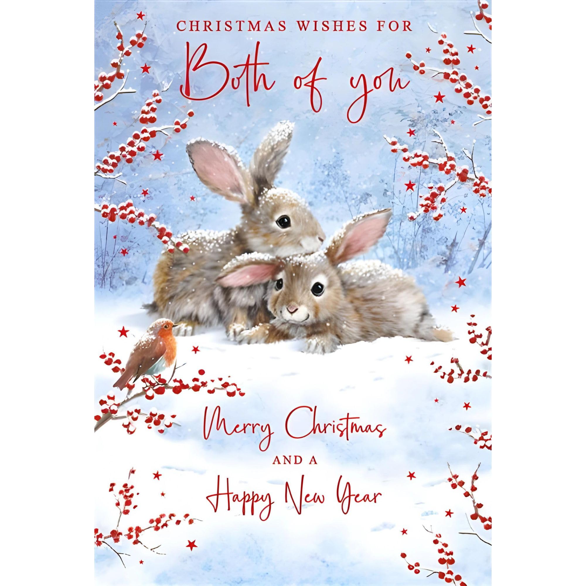 Nigel Quiney Both of You Christmas Card, Single - Christmas Cards 2024 ...