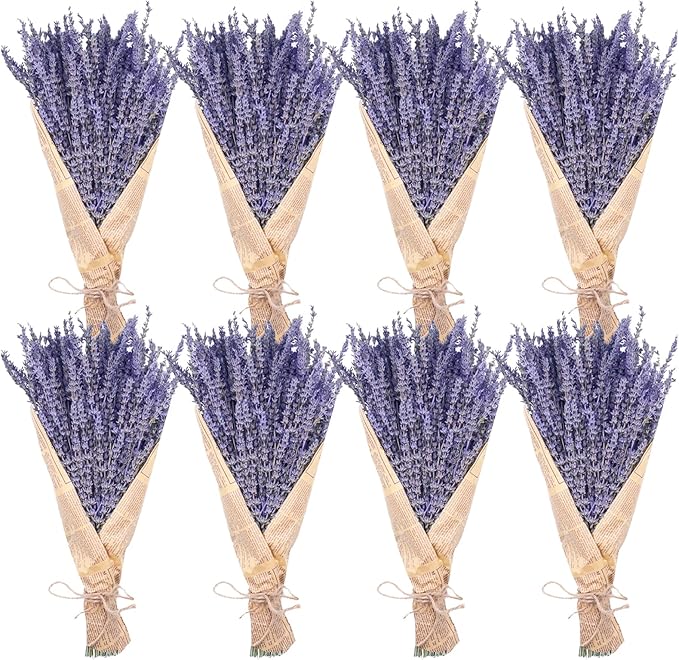 Amazon.com: 8 Bundles Dried Lavender Bundles, Uieke Natural Dried ...