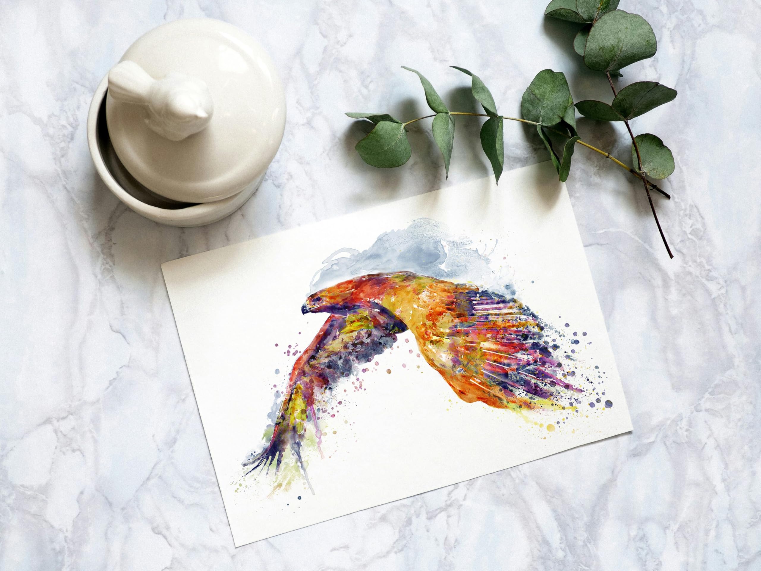Hawk Painting Watercolor